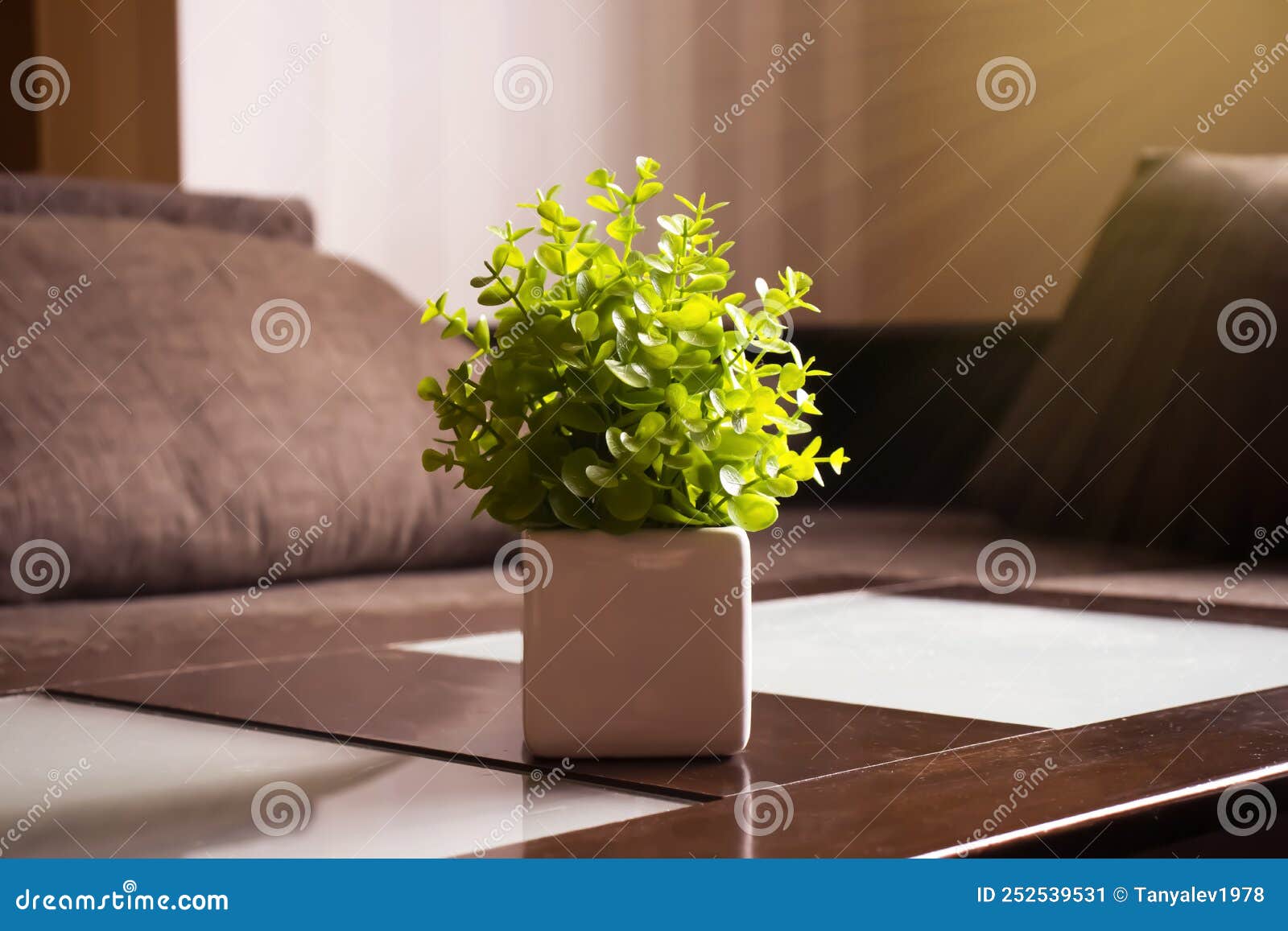 Flowerpot Plant in Room Decoration Interior Stock Image - Image of ...