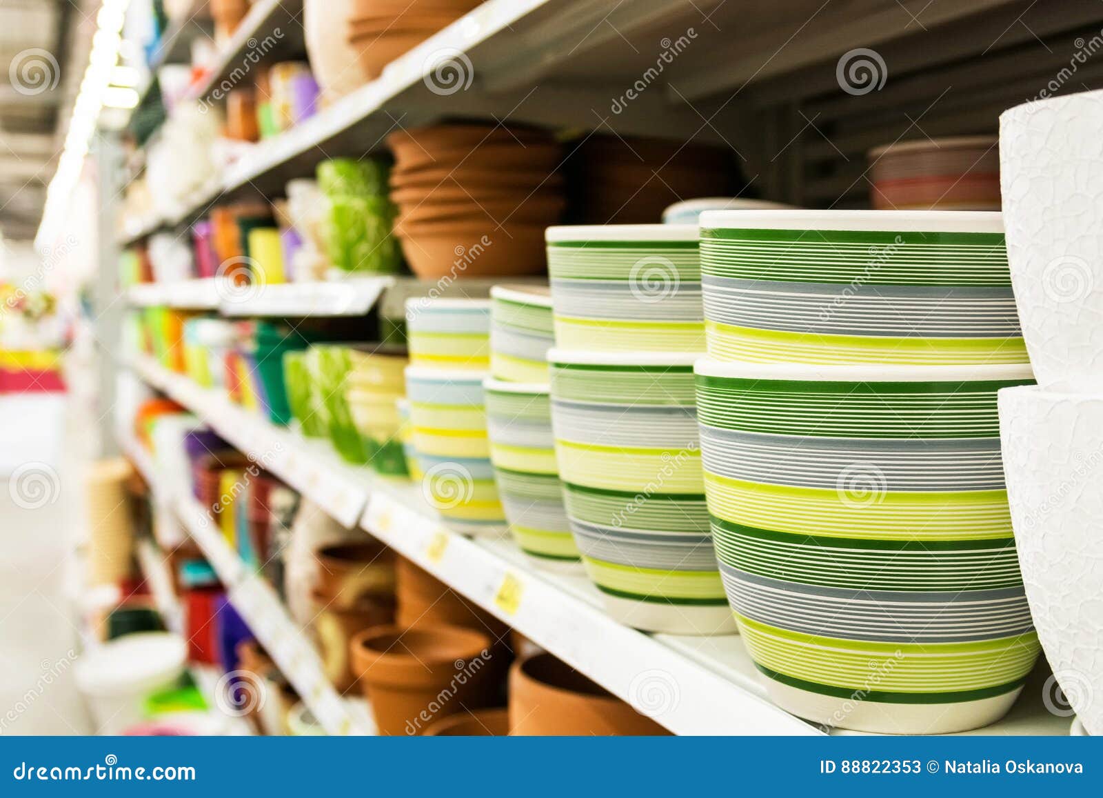 Flowerpots in the Florist Store Stock Image - Image of gardening ...