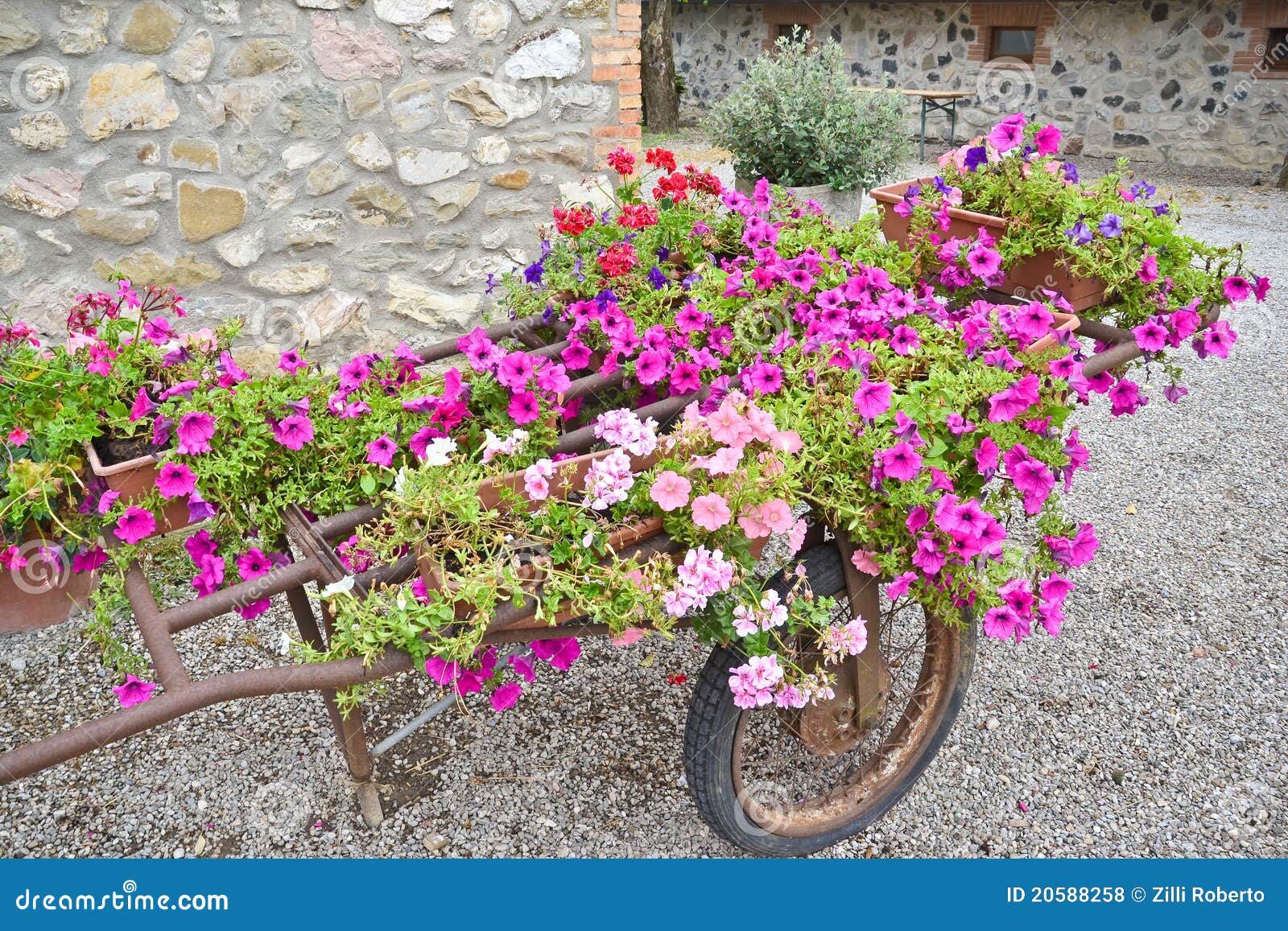 Flowers stock photo. Image of countryside, gardening - 20588258