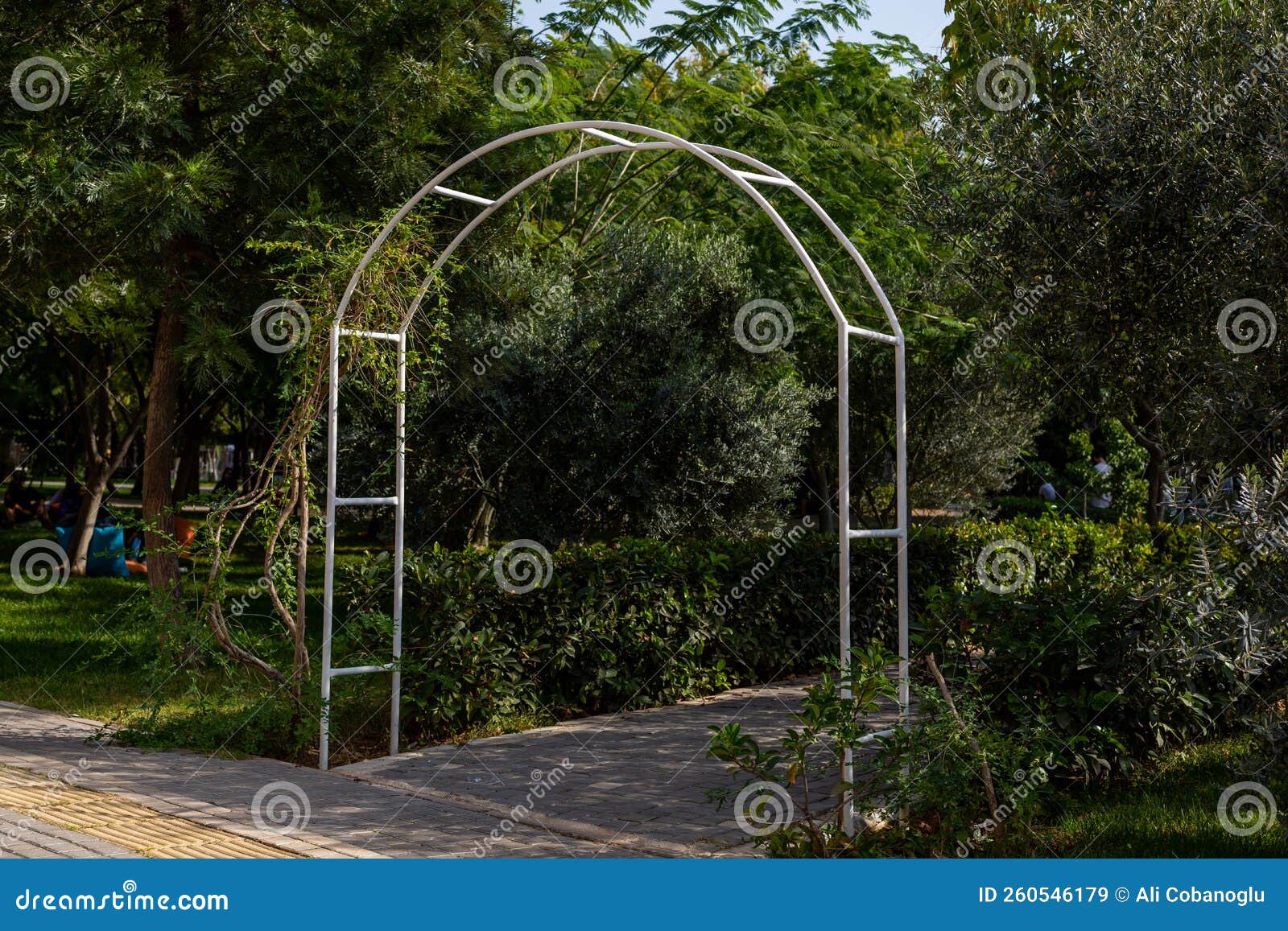 For Flowers Arch Trellis Frame Stock Image - Image of gate, plant ...