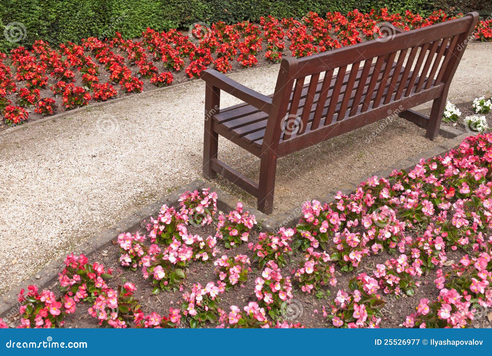Flowers around a Bench stock image. Image of beauty, bench - 25526977