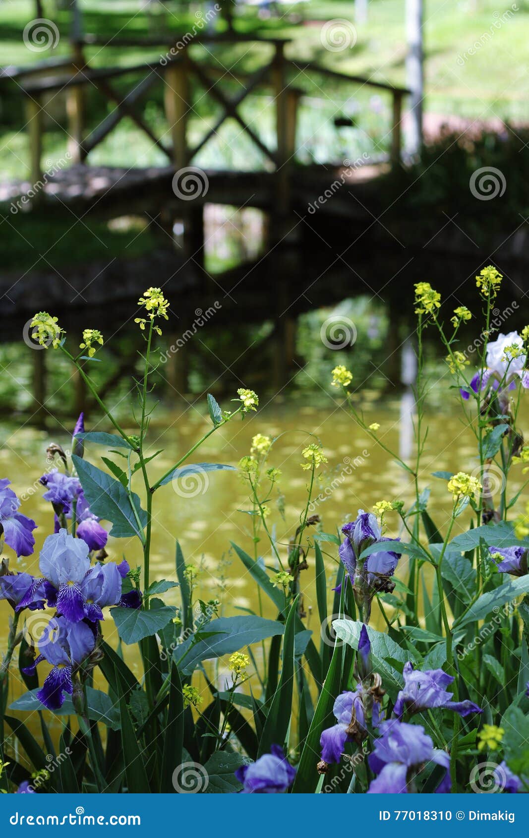 Flowers Around the Pond with a Bridge Stock Photo - Image of park ...