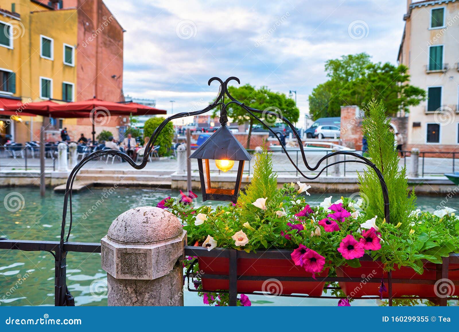 Flowers as seen in Venice stock image. Image of canal - 160299355