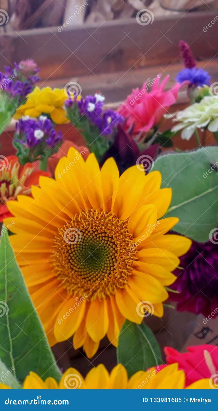 Close-up of Autumn Flowers Bouquet Stock Image - Image of flowers ...