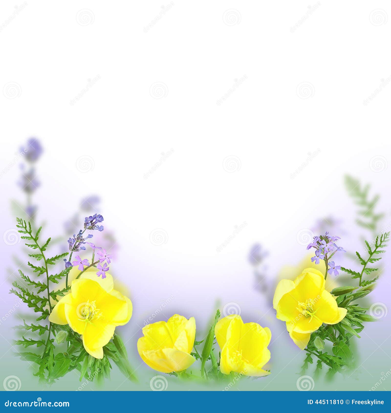 Flowers Background As a Holiday Postcard Design Stock Photo - Image of ...