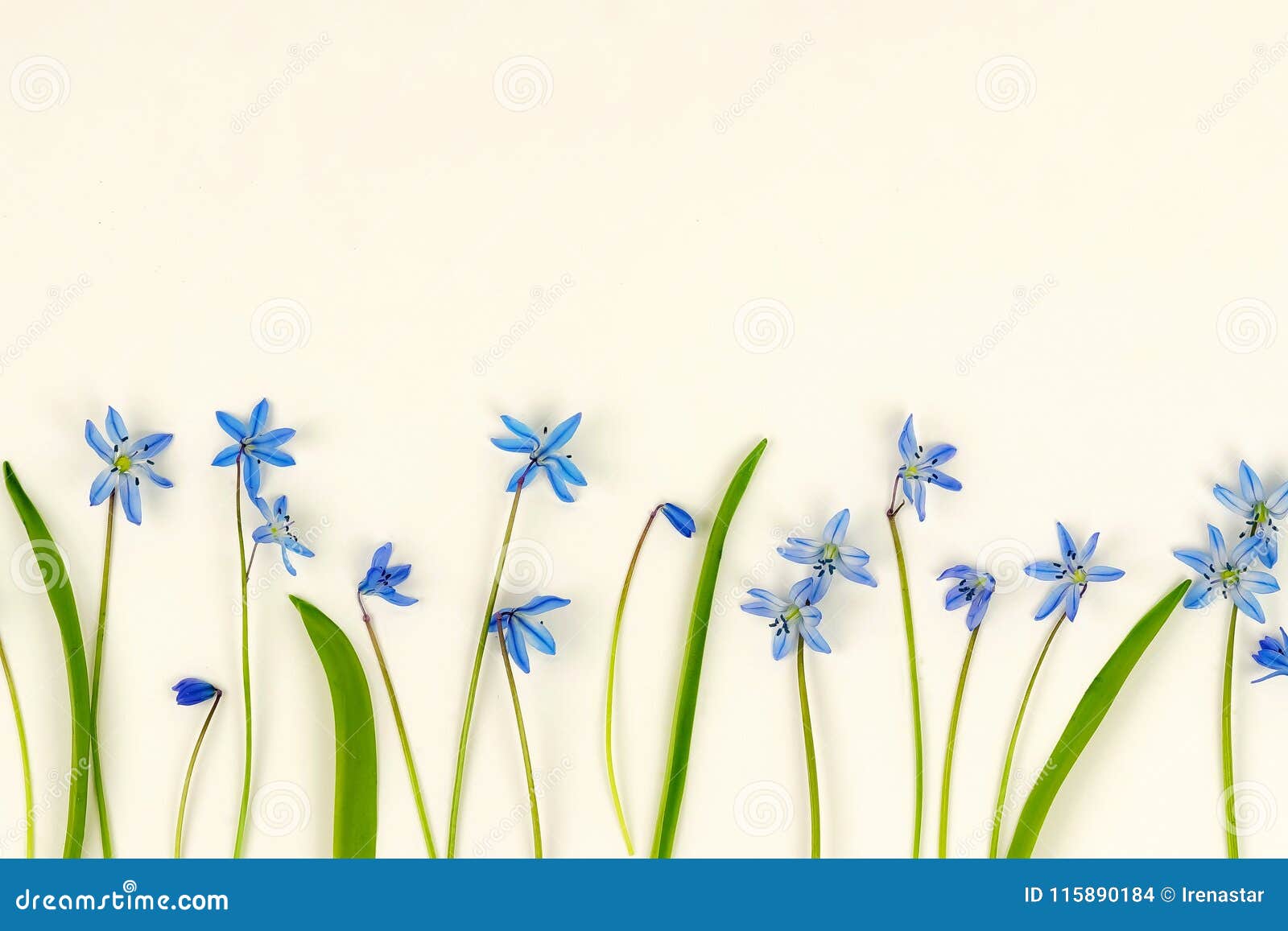 Flowers Background. Blue Spring Flowers Stock Photo - Image of flora ...