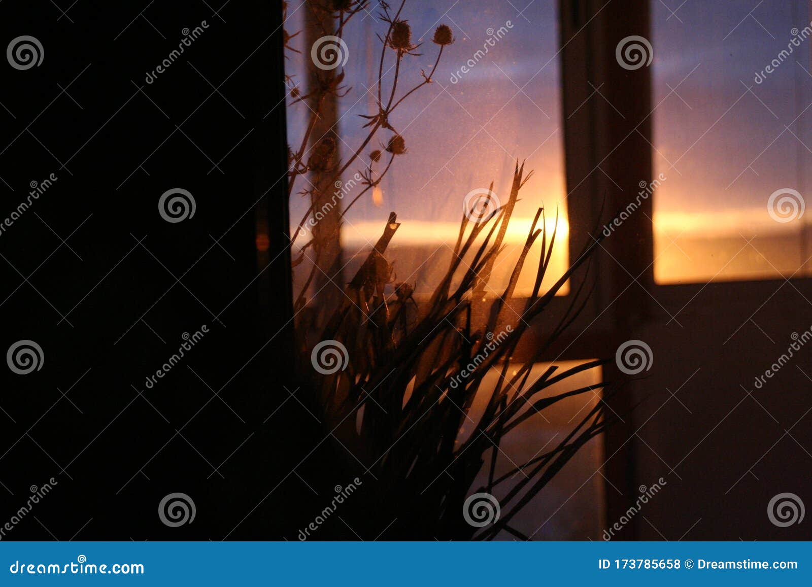 Flowers on the Background of a Blurred Window during Sunset with ...