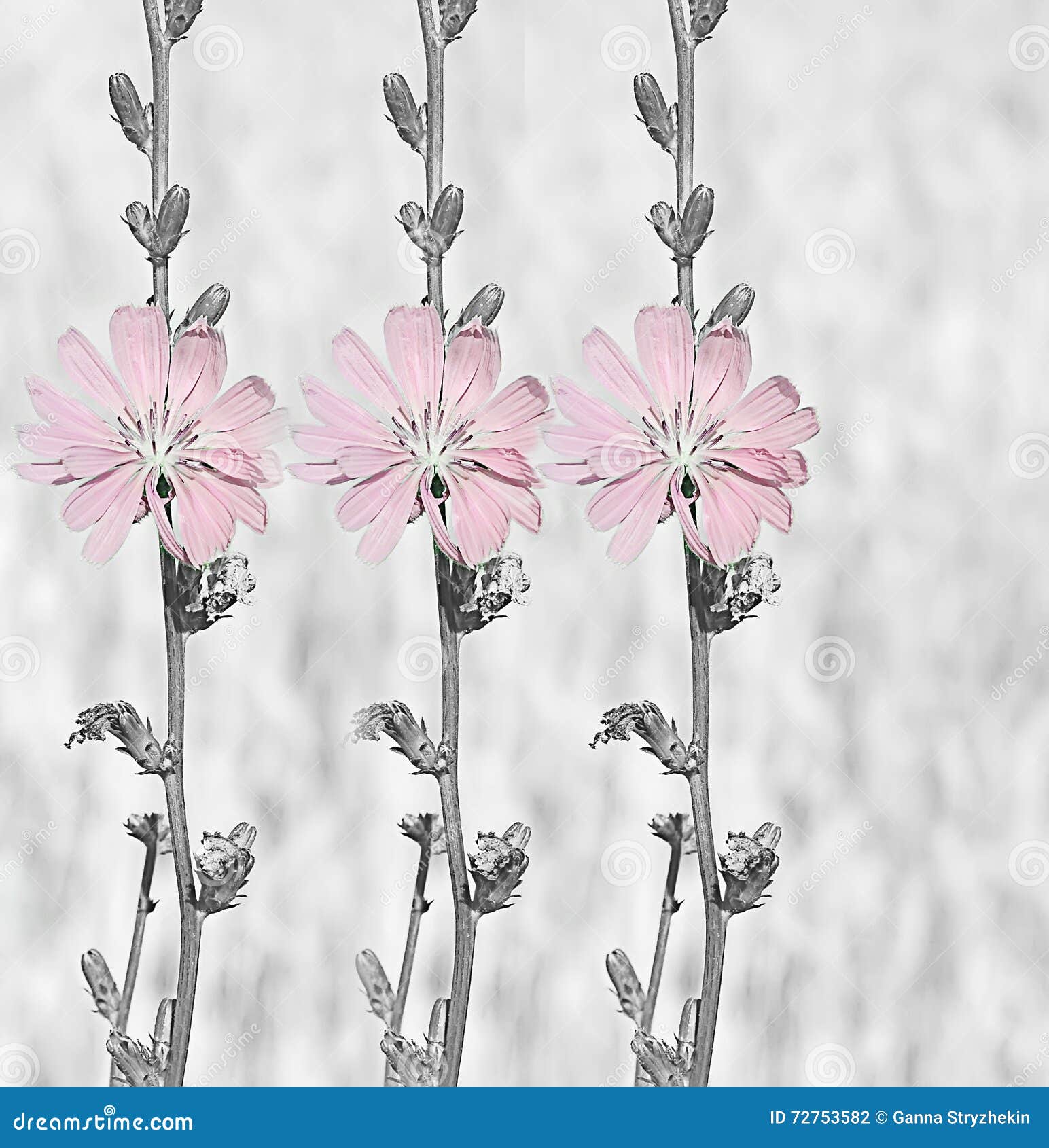 Flowers Background Repetition Stock Photo - Image of gray, light: 72753582