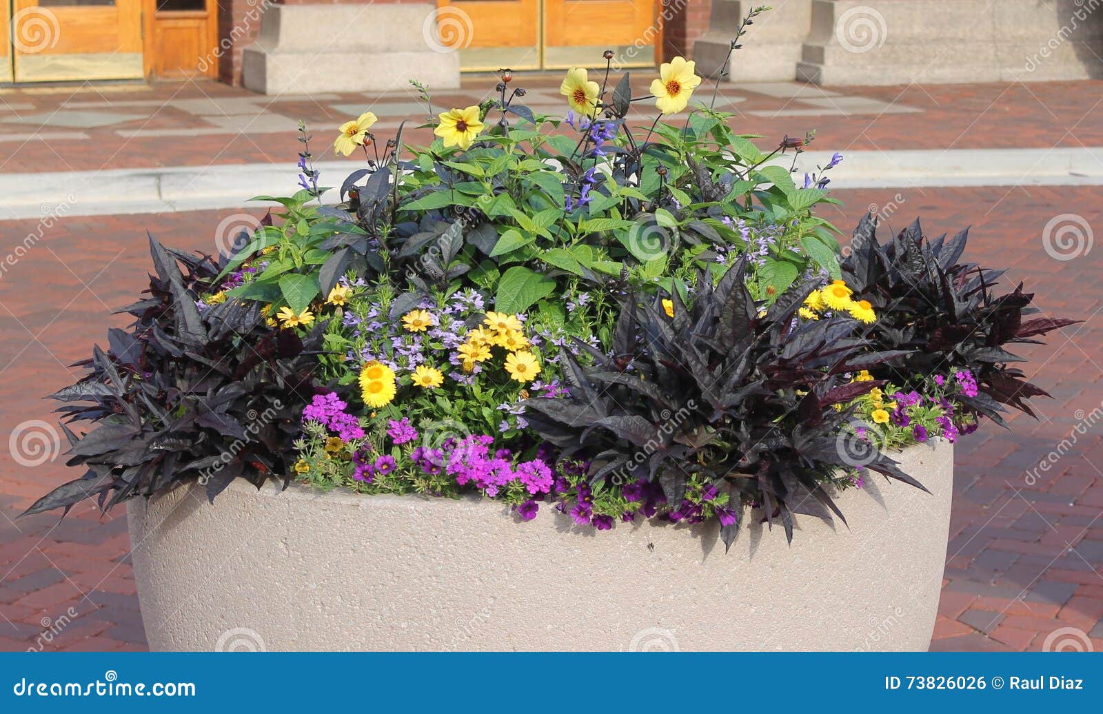 Flowers on a Basin stock photo. Image of yellow, plant - 73826026