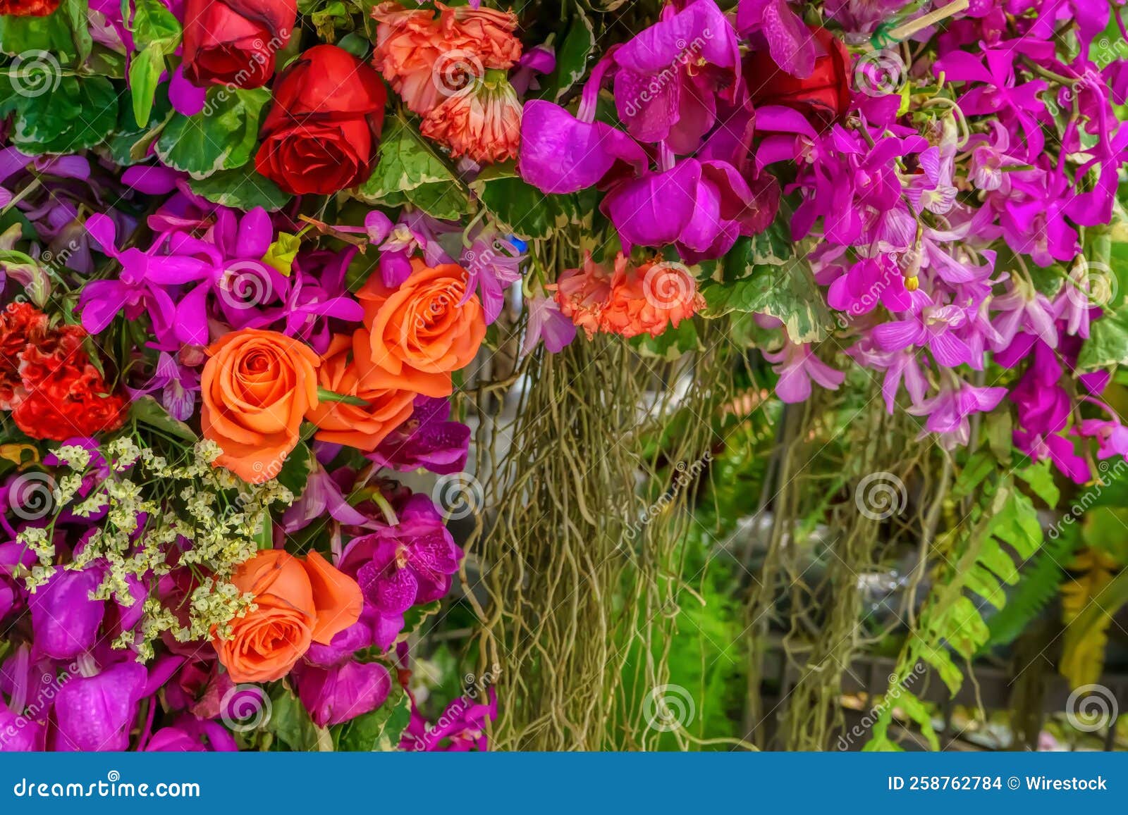 Flowers are Beautiful and Refreshing Stock Photo - Image of blooming ...
