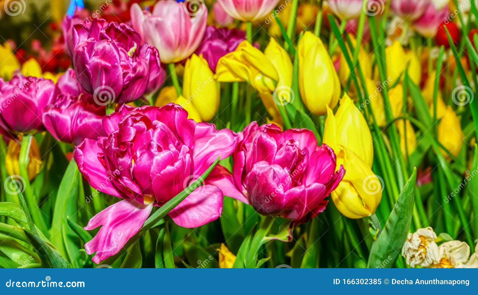 Flowers are beautiful stock image. Image of bouquet - 166302385