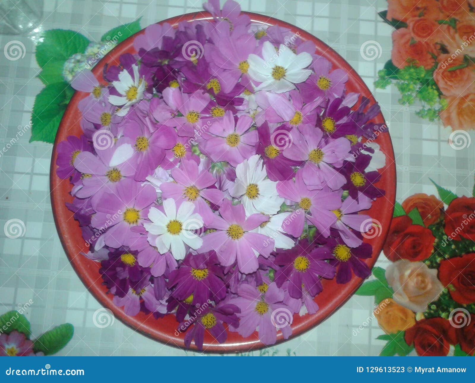 Flowers stock image. Image of roses, flowers, romashka - 129613523