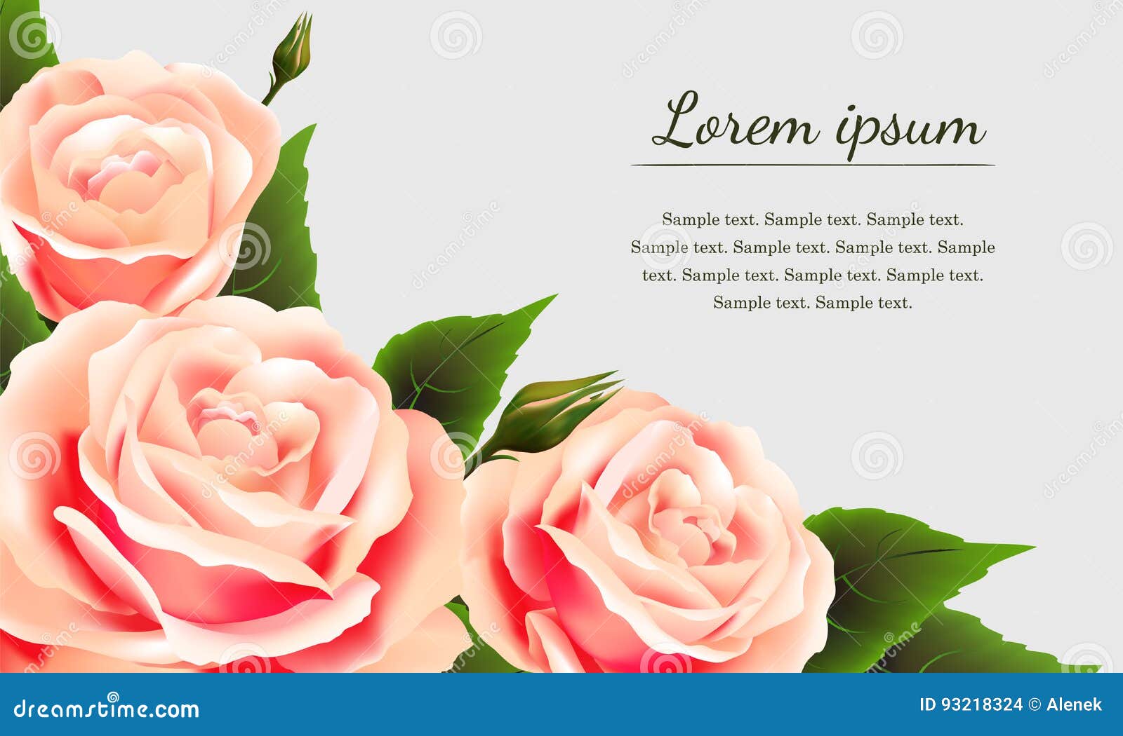 Flowers Beautiful Roses and Frame Stock Vector - Illustration of flower ...