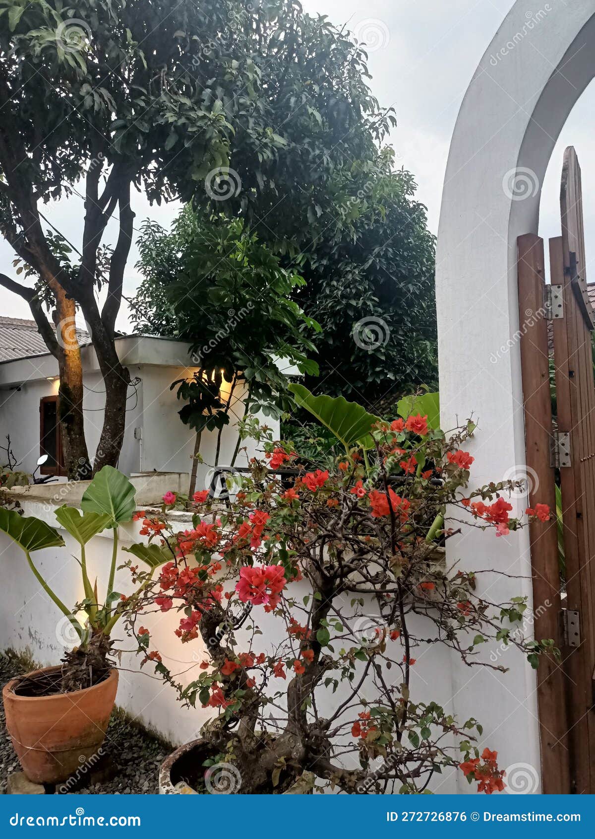 Flowers behind the gate stock photo. Image of beautiful - 272726876