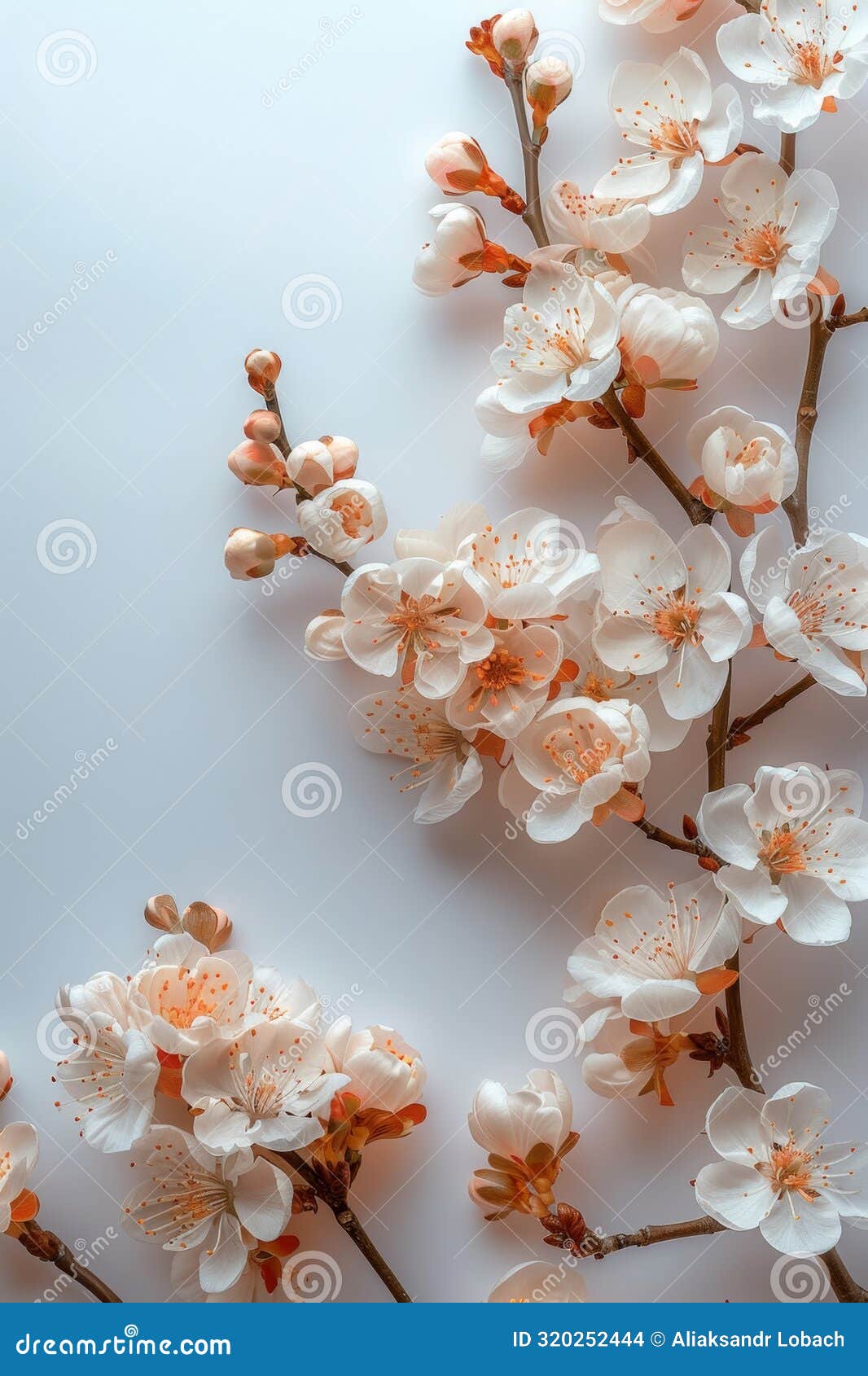 Flowers on a Beige Background. the Background is Made of Beige Flowers ...