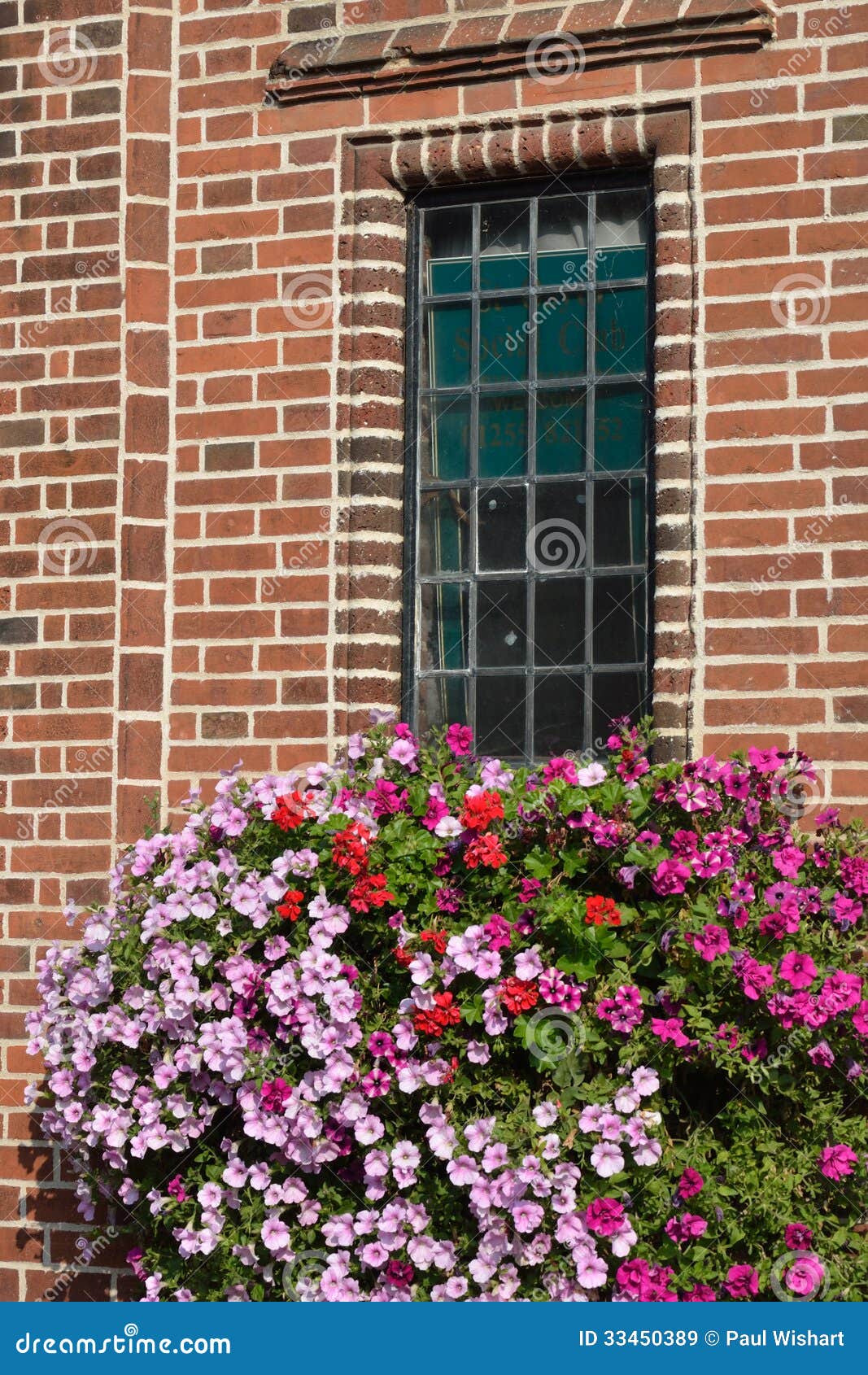 Flowers below window stock image. Image of floral, brick - 33450389