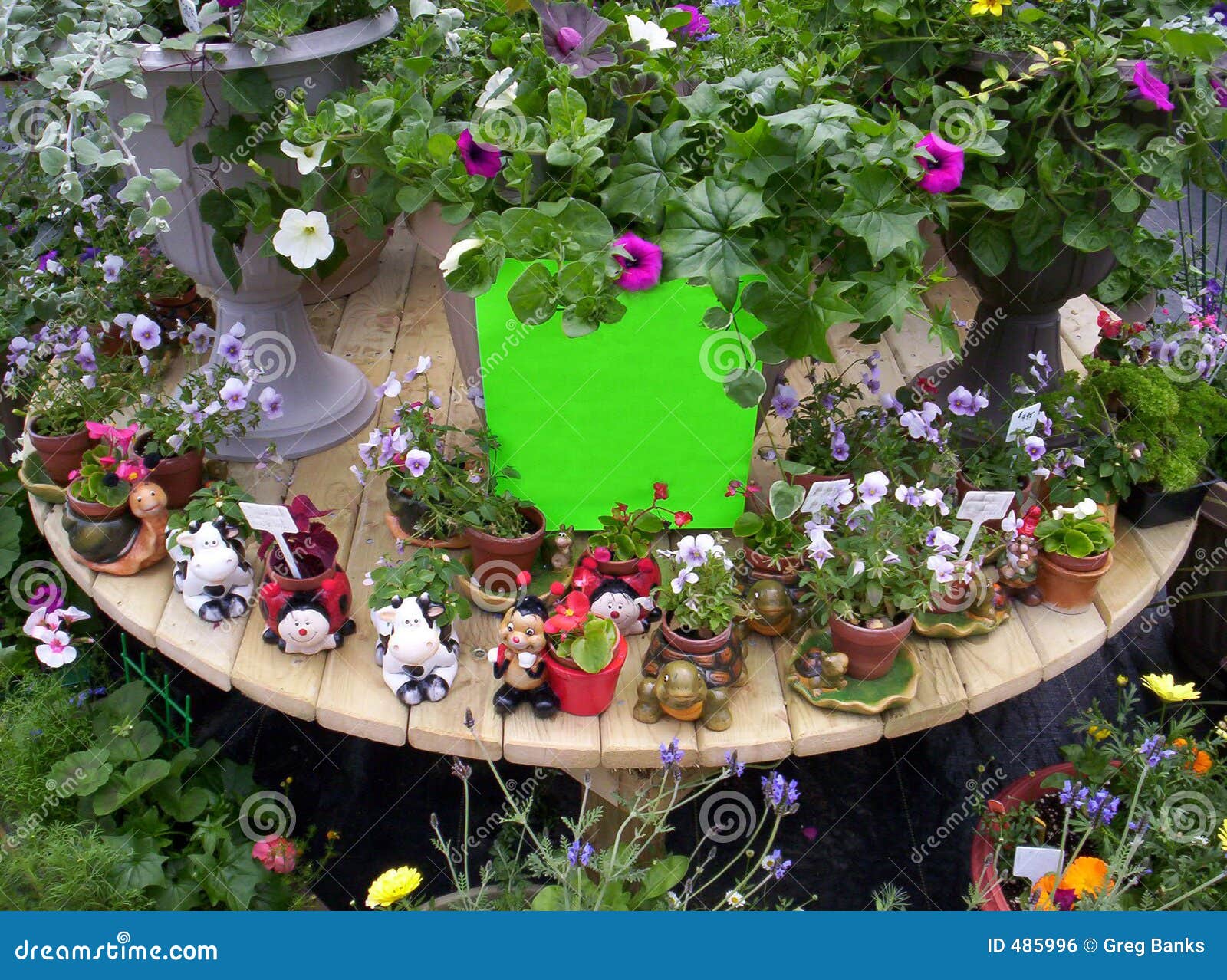 Flowers blank sign stock photo. Image of gray, blue, horticulture - 485996