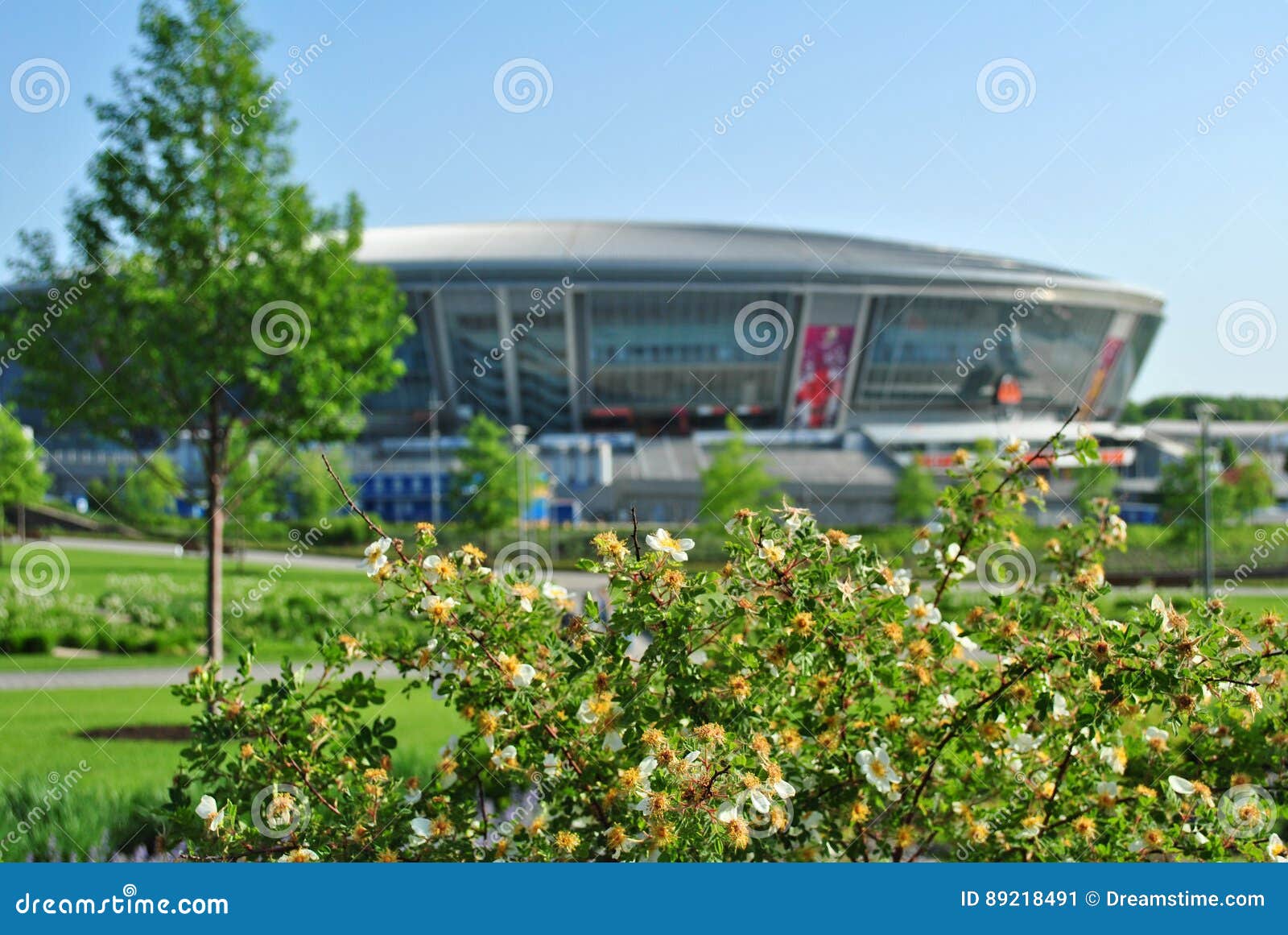 Flowers bloom in the park stock image. Image of pink - 89218491
