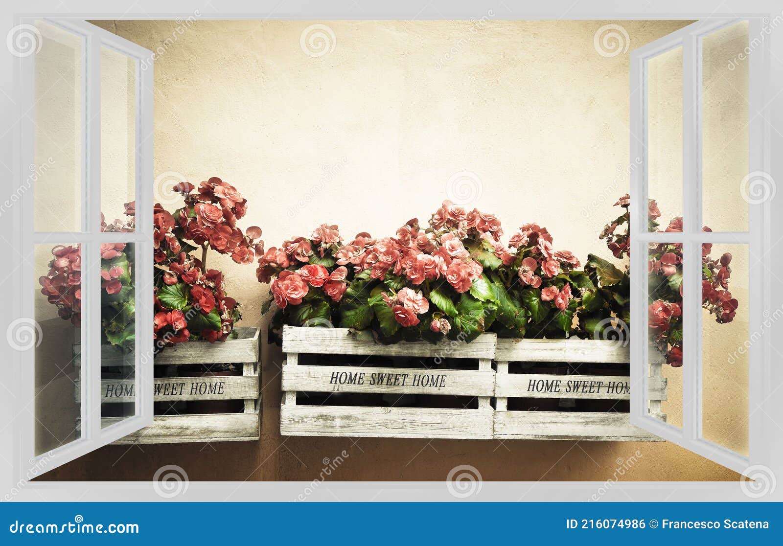 Flowers in Bloom Seen from an Open Window - Springtime Concept Image ...