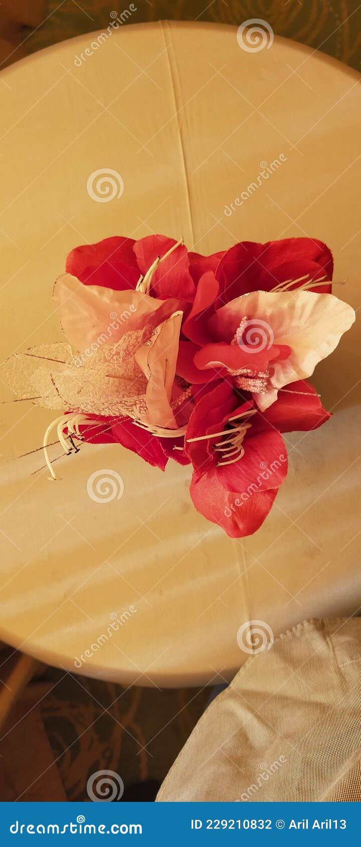 Flowers Bloom on the Table the Room Stock Photo - Image of bloom, table ...