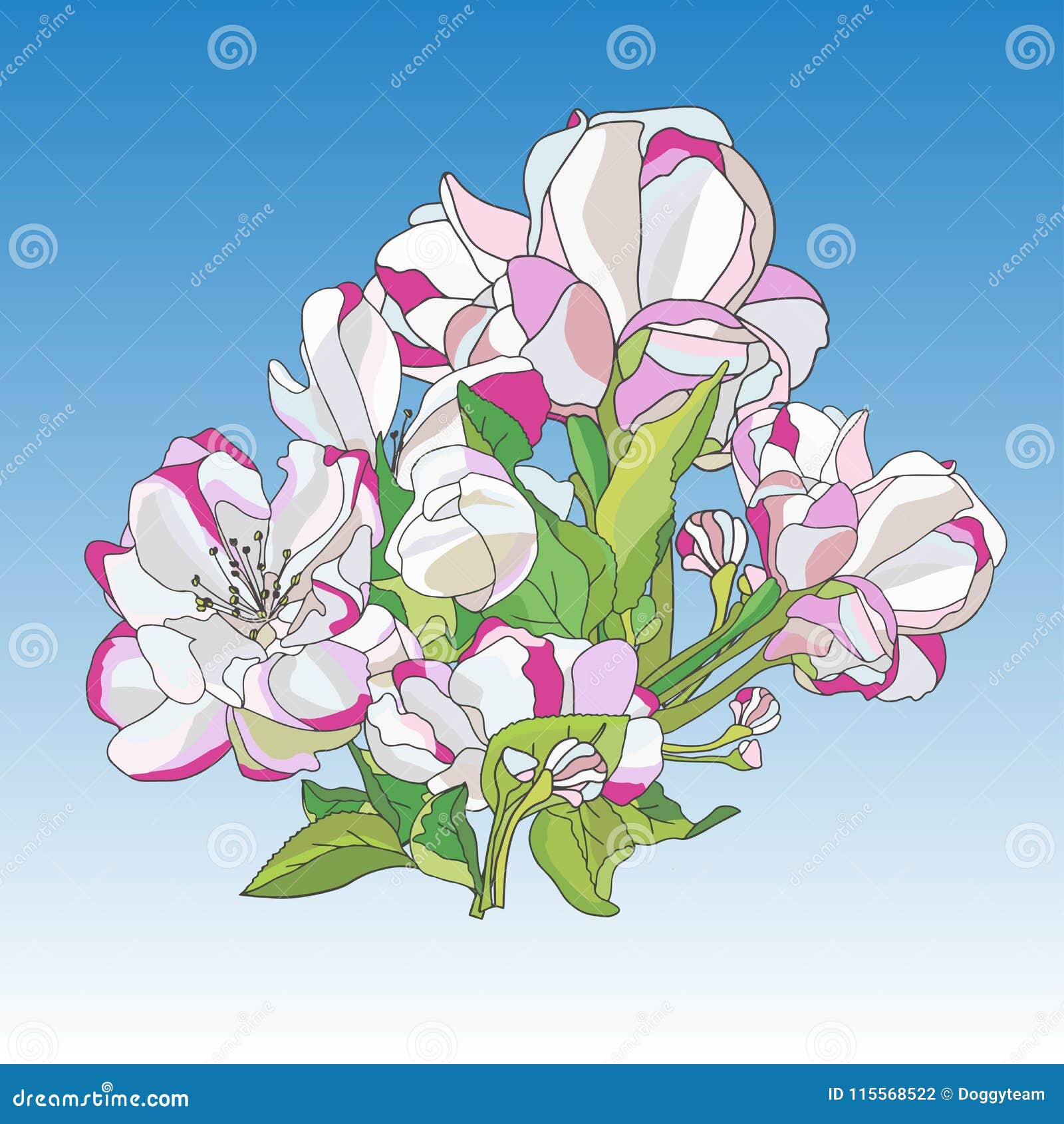 Flowers of Blooming Apple Tree Vector Illustration Stock Vector ...