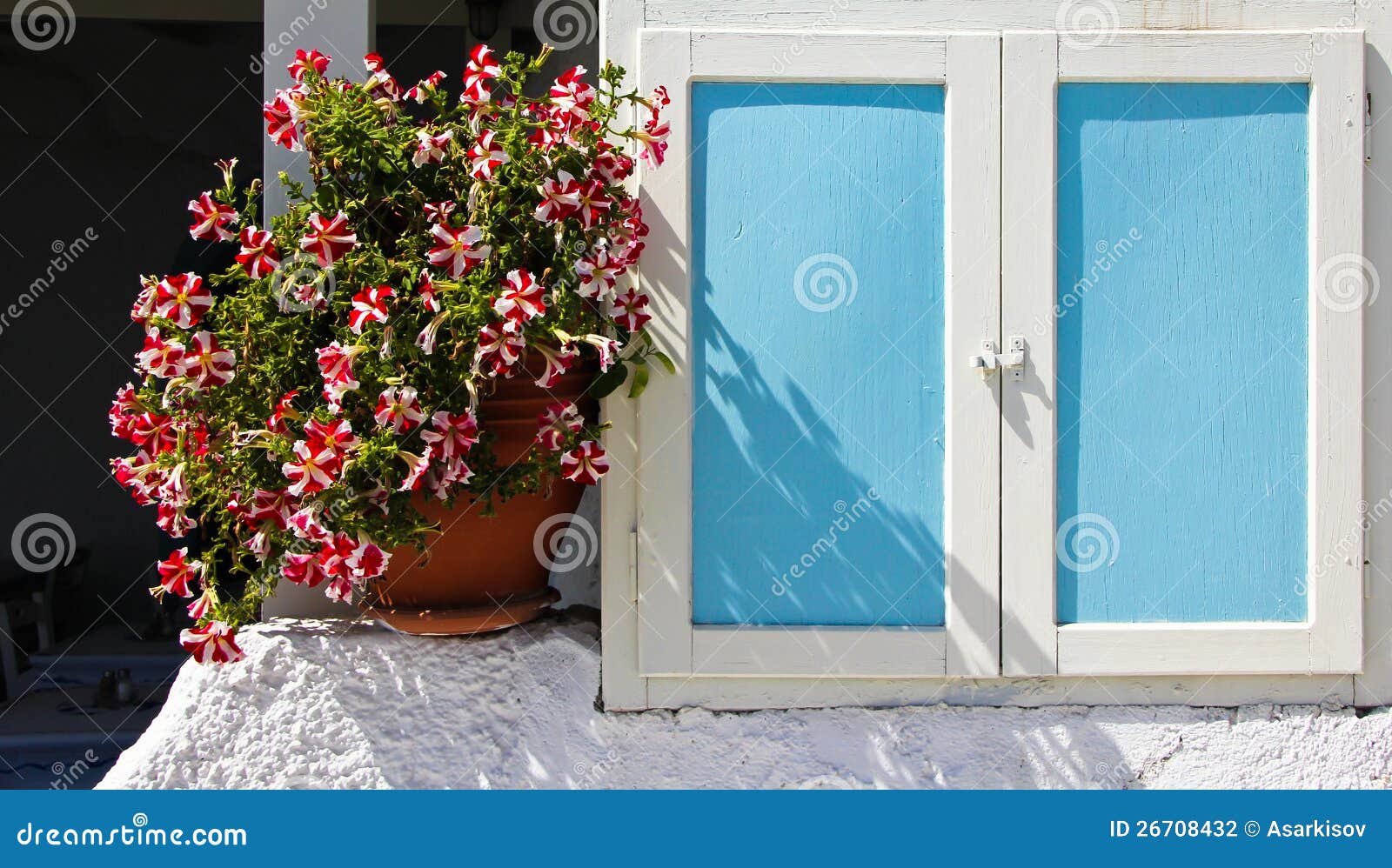 Flowers at the blue window stock photo. Image of window - 26708432