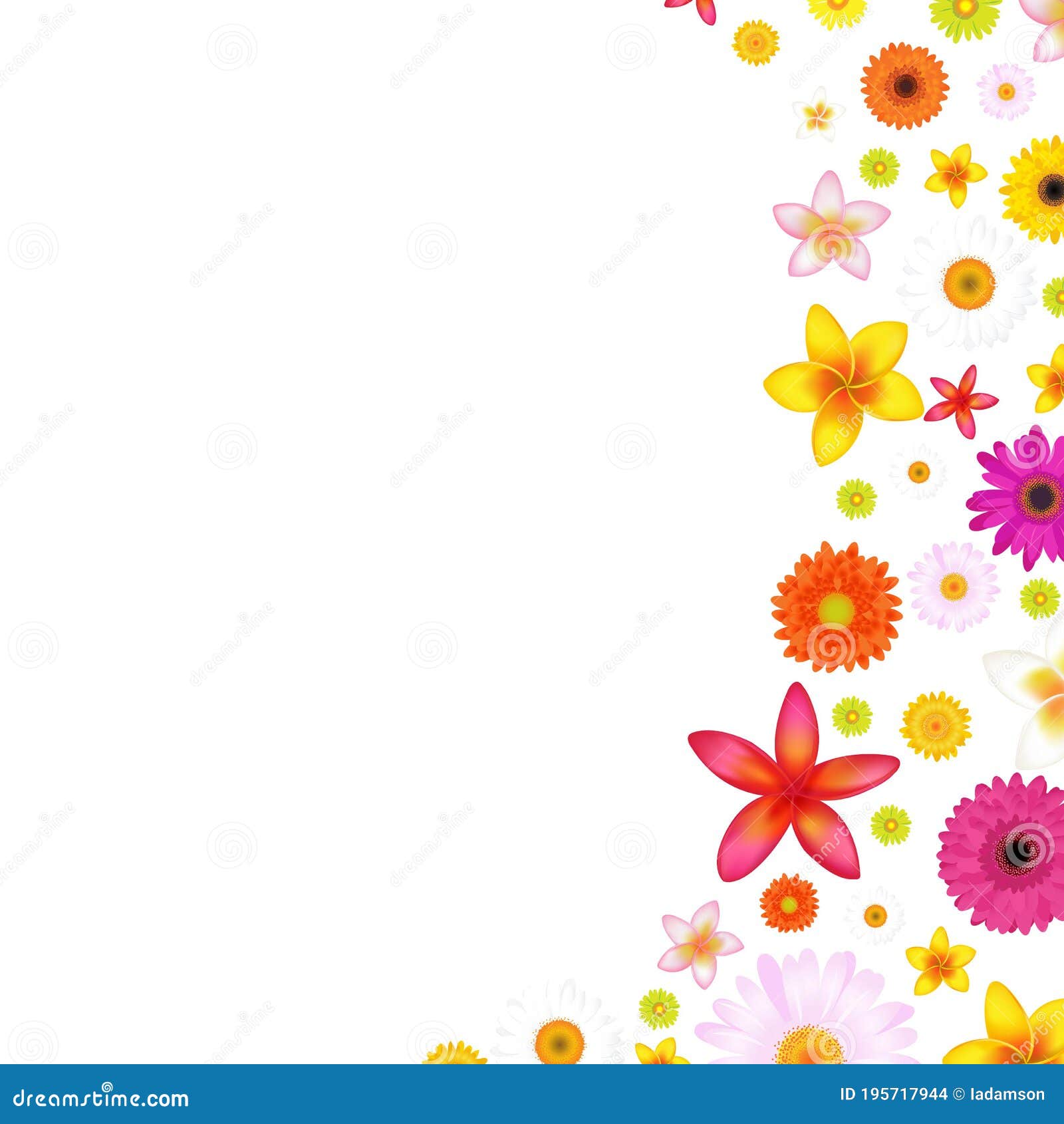 Flowers Border stock vector. Illustration of floral - 195717944