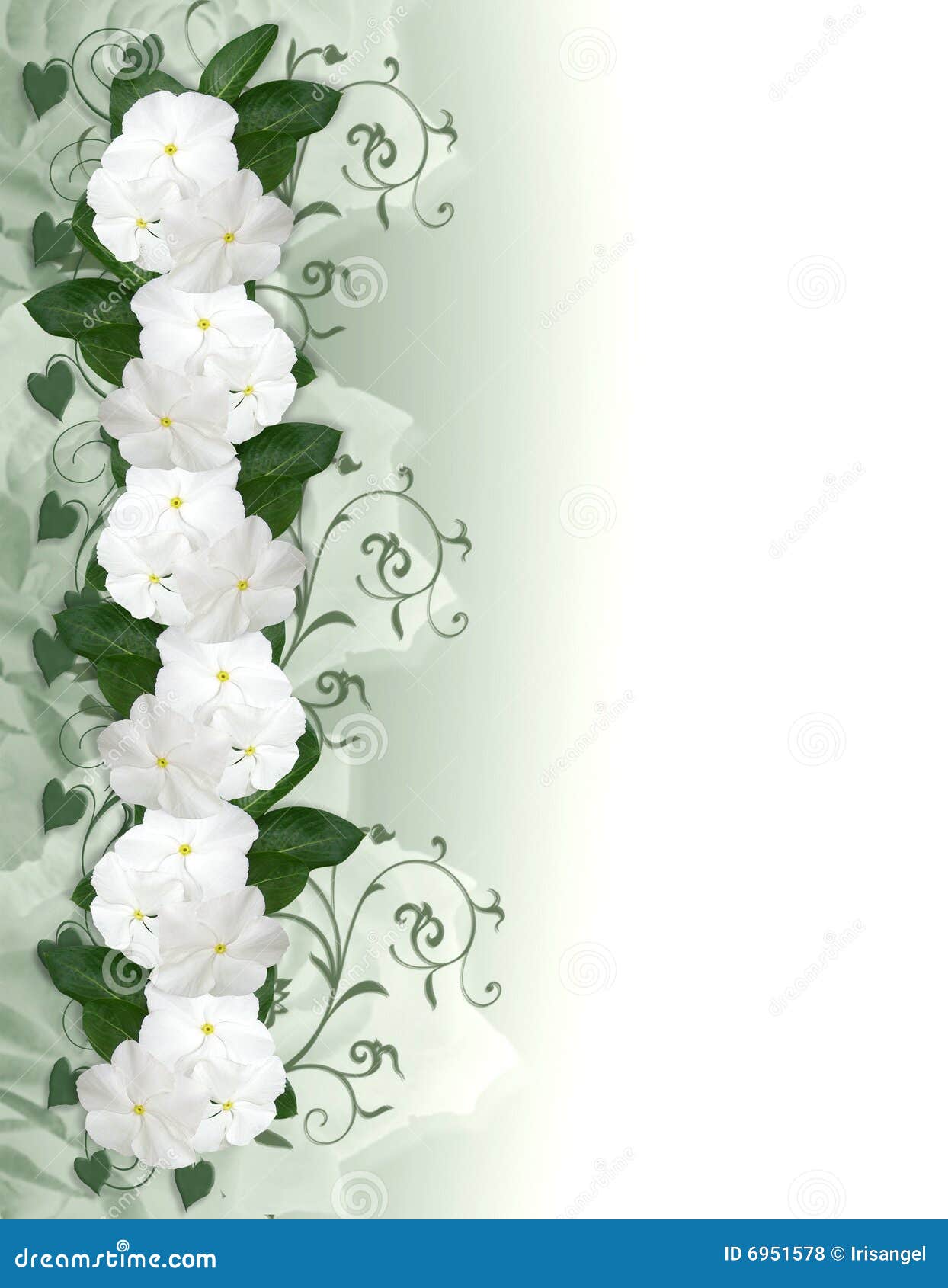 Flowers Border White Periwinkle Stock Illustration - Illustration of ...