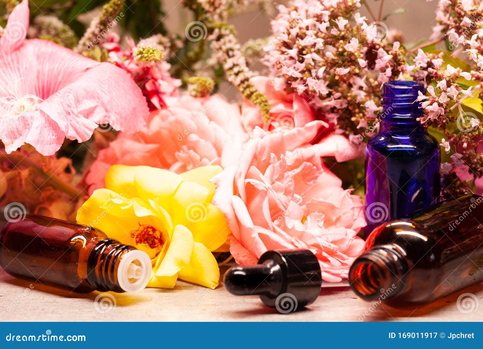Flowers and Bottles of Essential Oils for Aromatherapy Stock Image ...