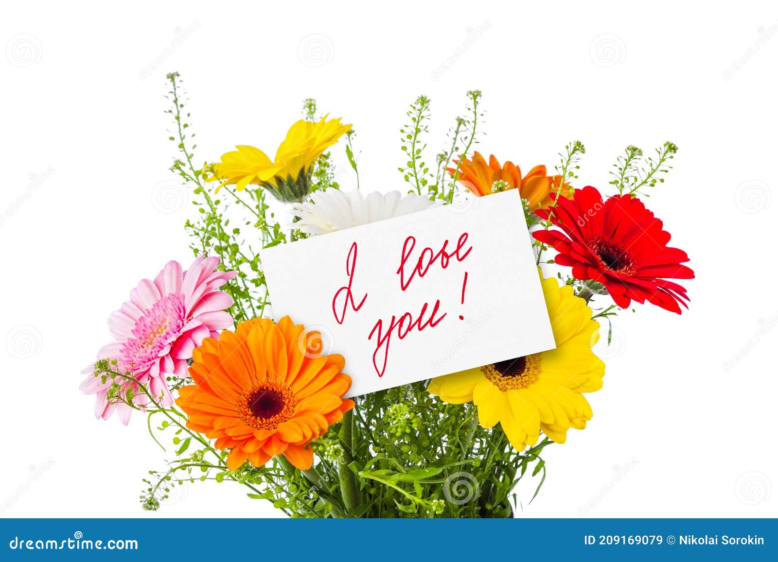 Flowers Bouquet and Greeting Card Stock Image - Image of paper, petal ...