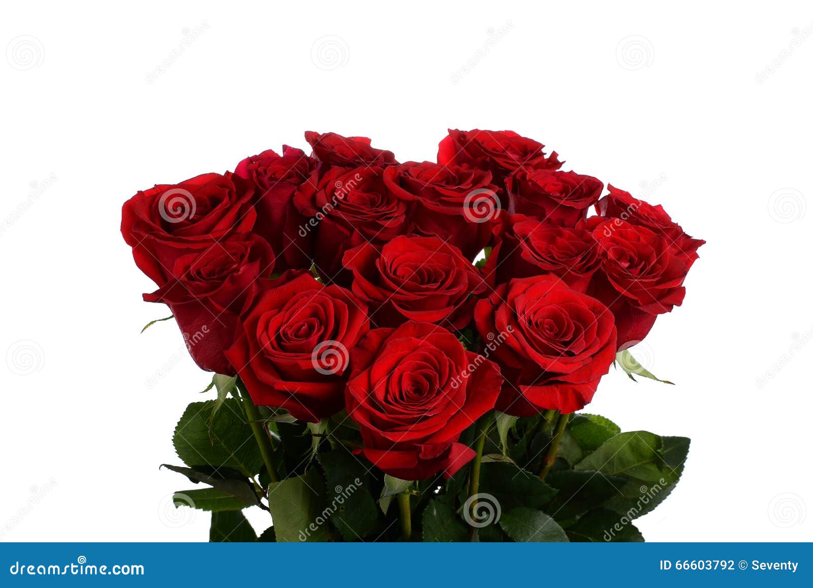 Flowers a Bouquet from Red Roses Stock Photo - Image of happy, filin ...