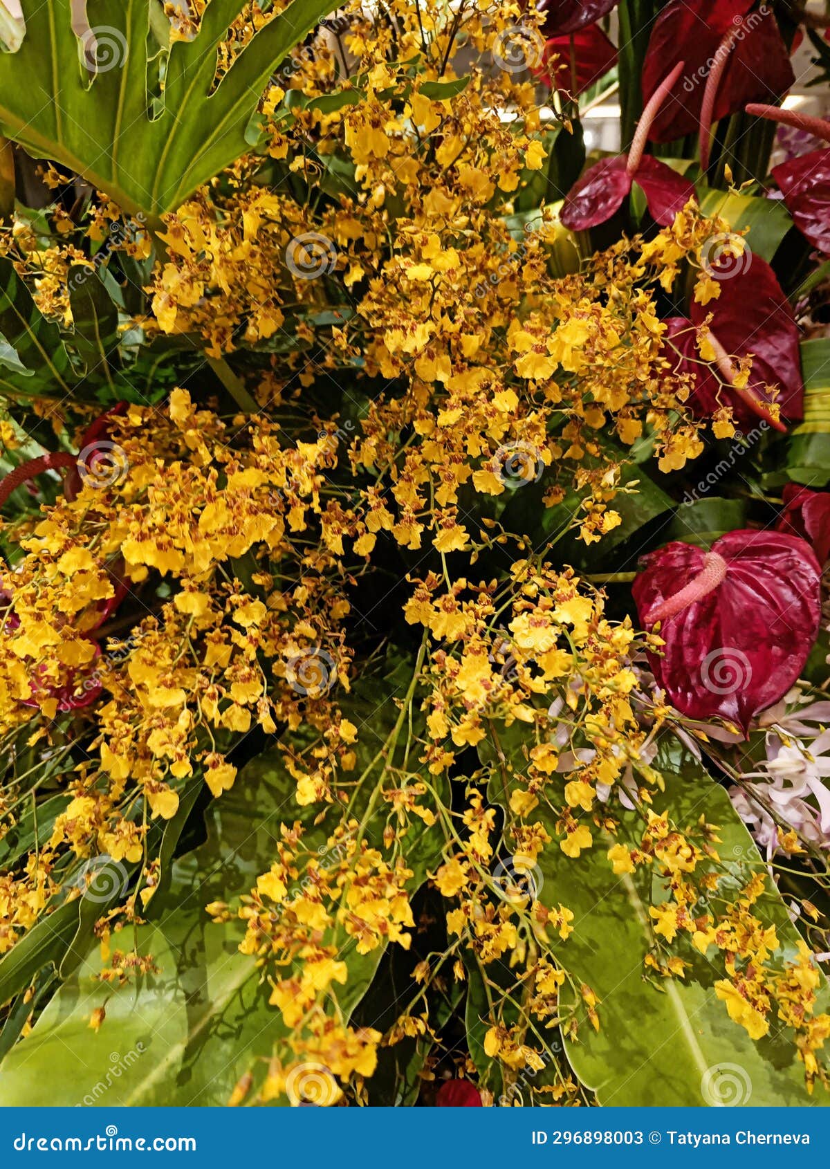 Flowers, Bouquet, Texture, Backdrop, Design, Pattern Stock Image ...