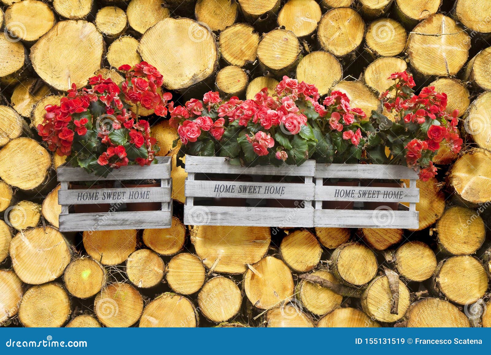 Flowers Boxes Hanging on a Timber Stack - Home Sweet Home Writte Stock ...