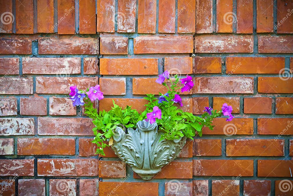 Flowers on a Brick Wall stock image. Image of flower - 23372445