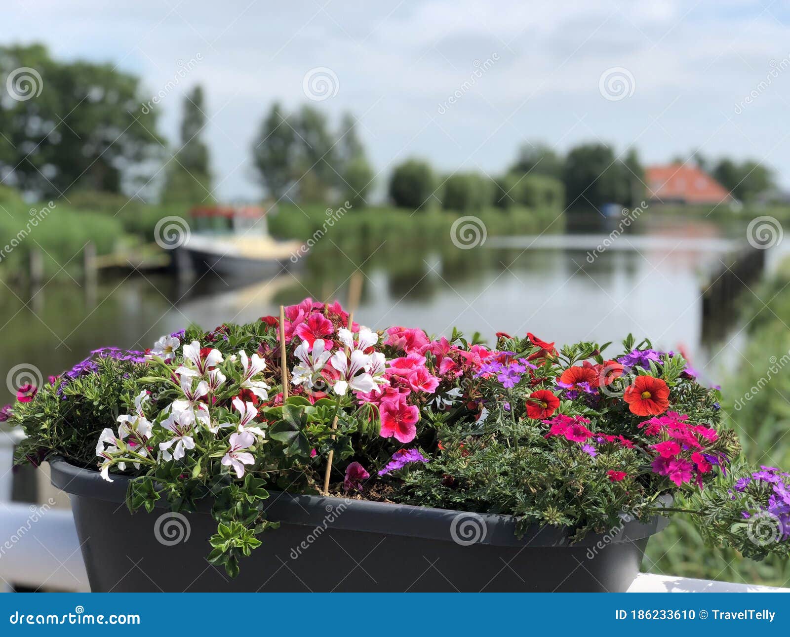 Flowers on a Bridge in Abbega Stock Photo - Image of abbega, reflection ...
