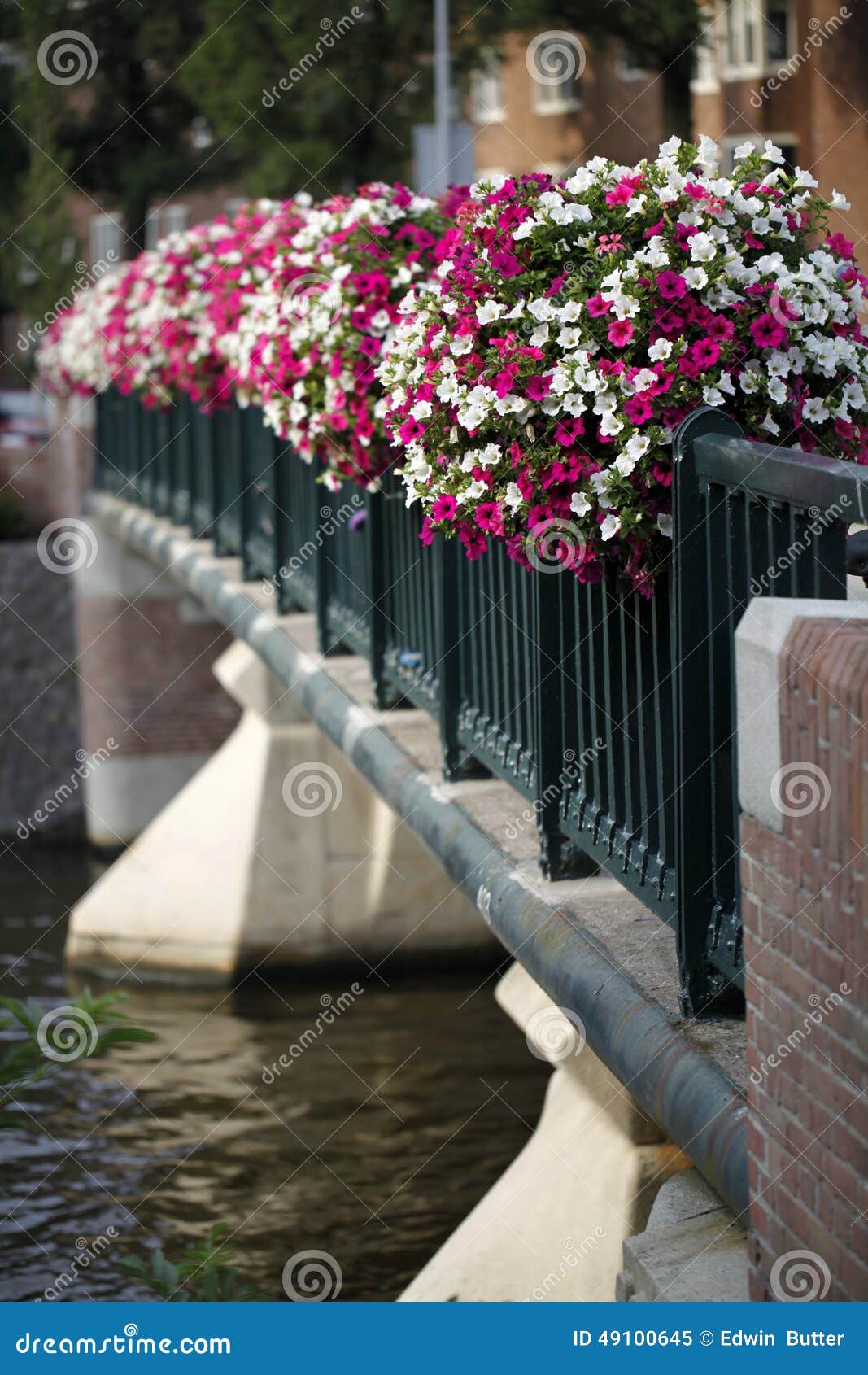 Flowers on bridge stock image. Image of famous, spring - 49100645