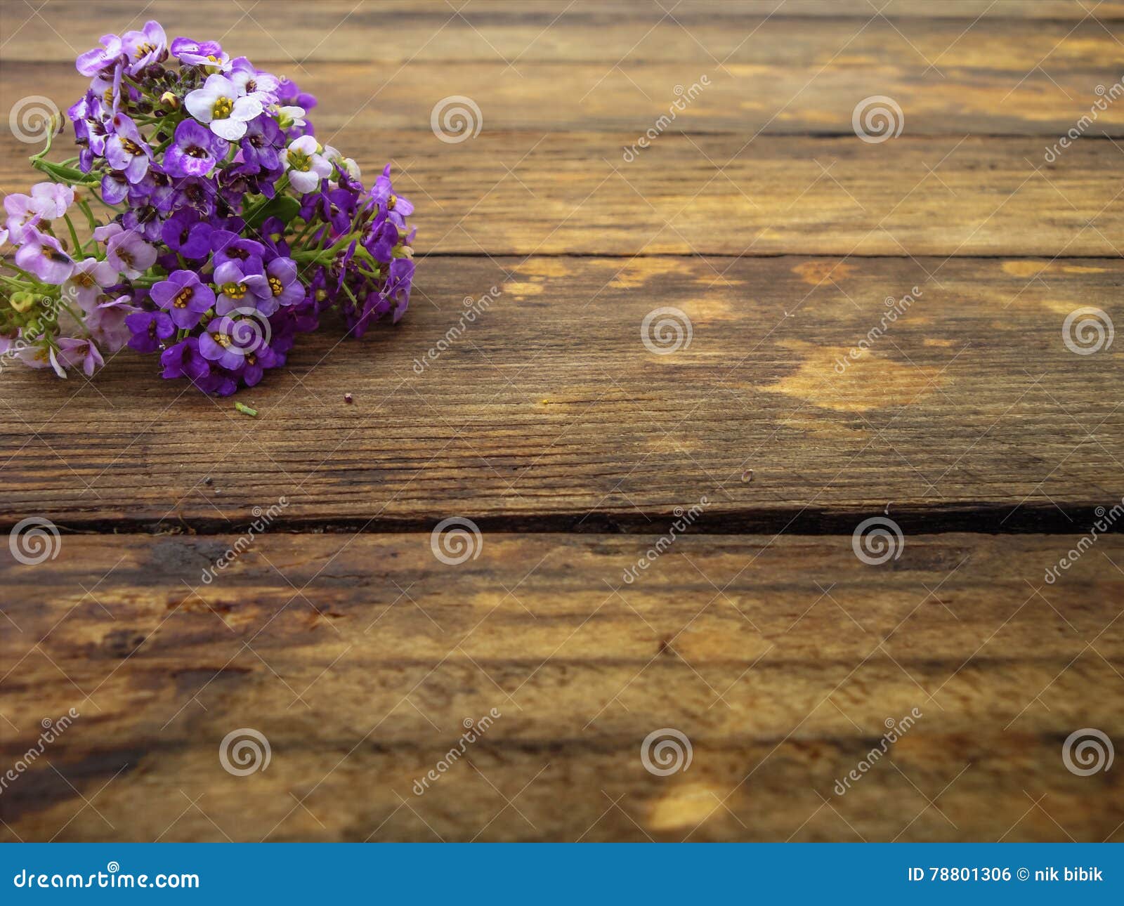 Flowers Bright Perspective. Flower Composition Stock Photo - Image of ...