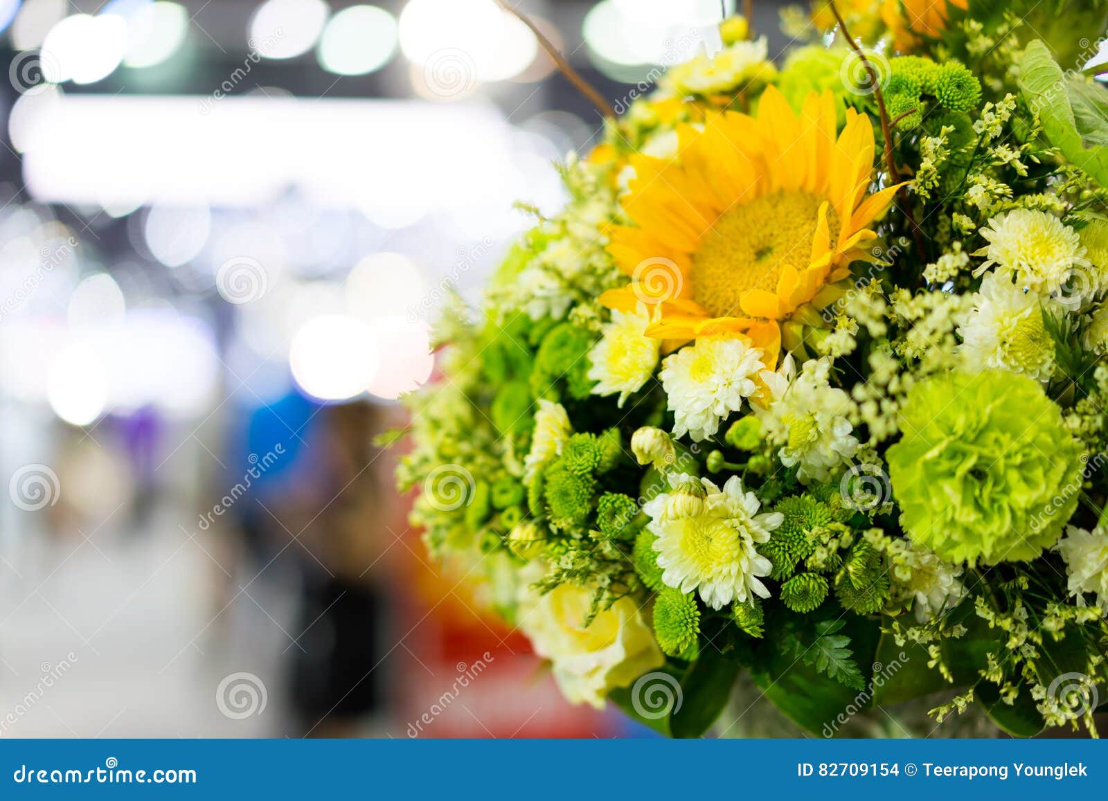 Flowers in Bright, Vibrant Colors. Stock Photo - Image of nature ...