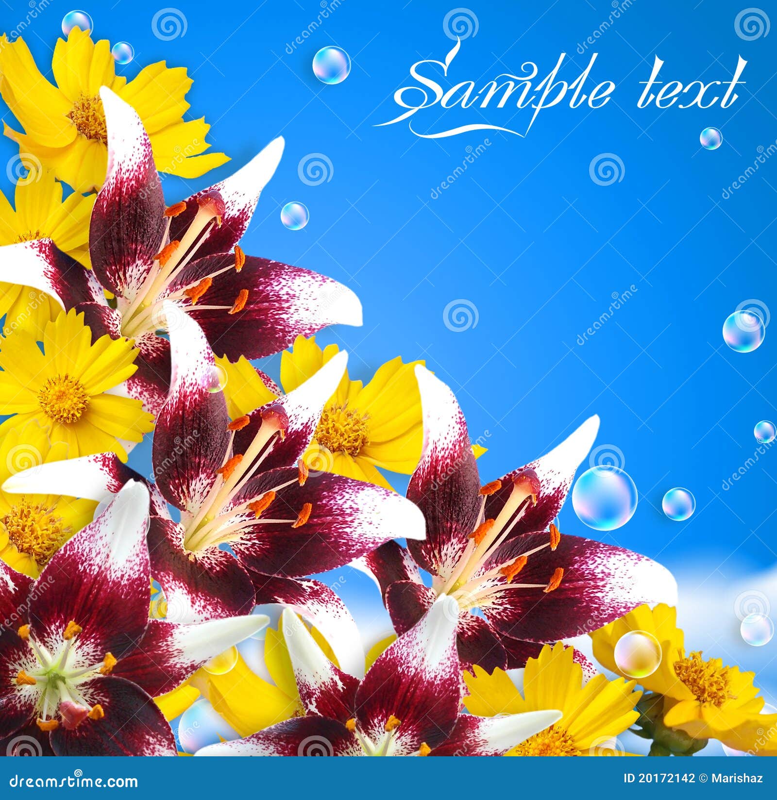 Flowers and bubbles stock photo. Image of floral, camomiles - 20172142