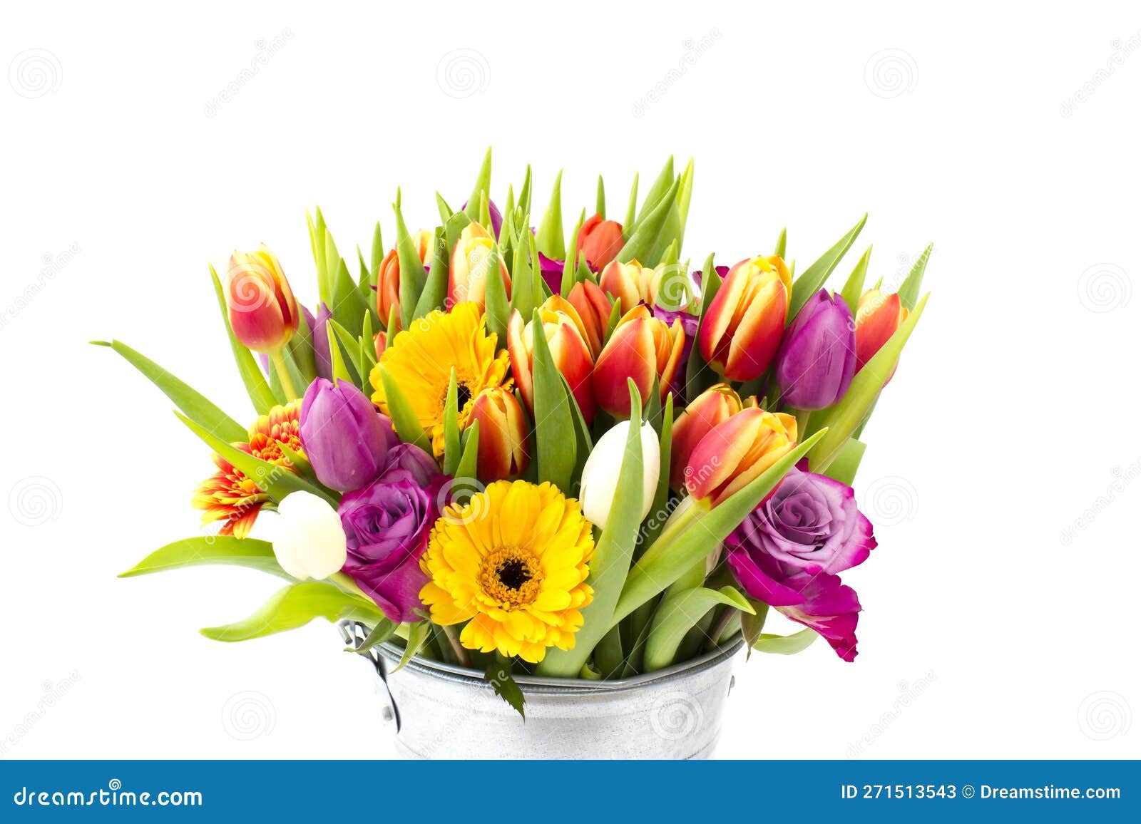 Flowers in a Bucket on White Stock Image - Image of birthday, bright ...