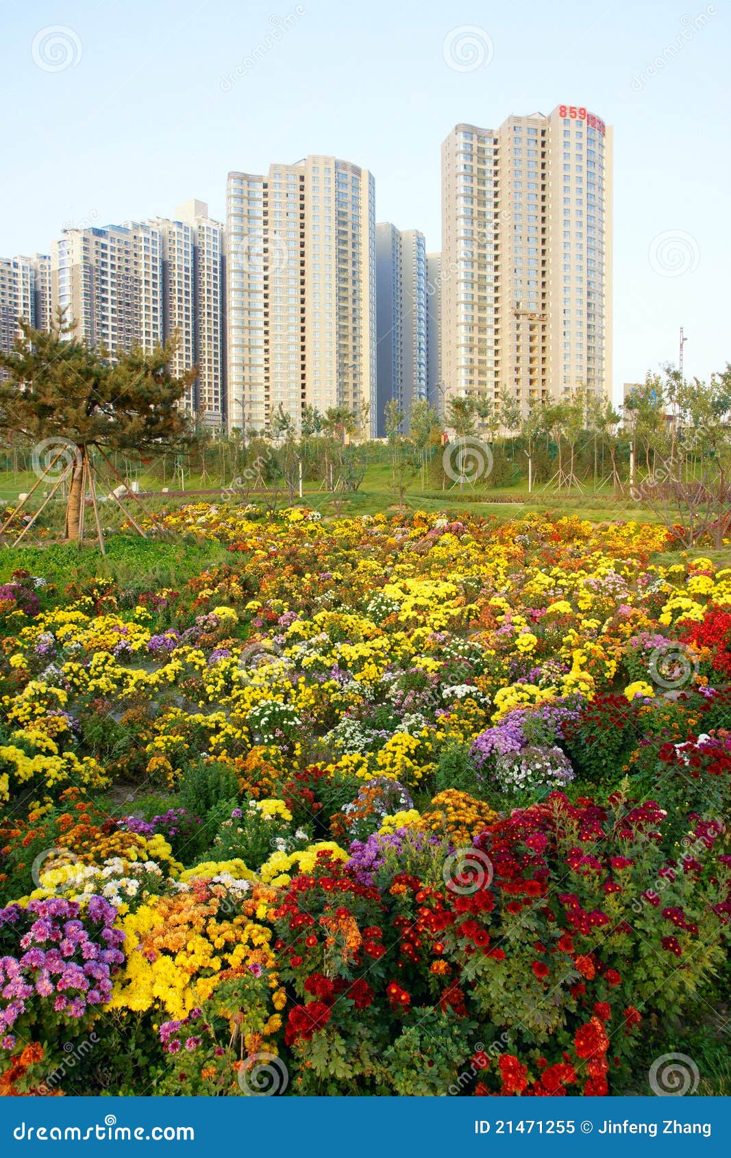 Flowers and buildings stock image. Image of dwelling - 21471255
