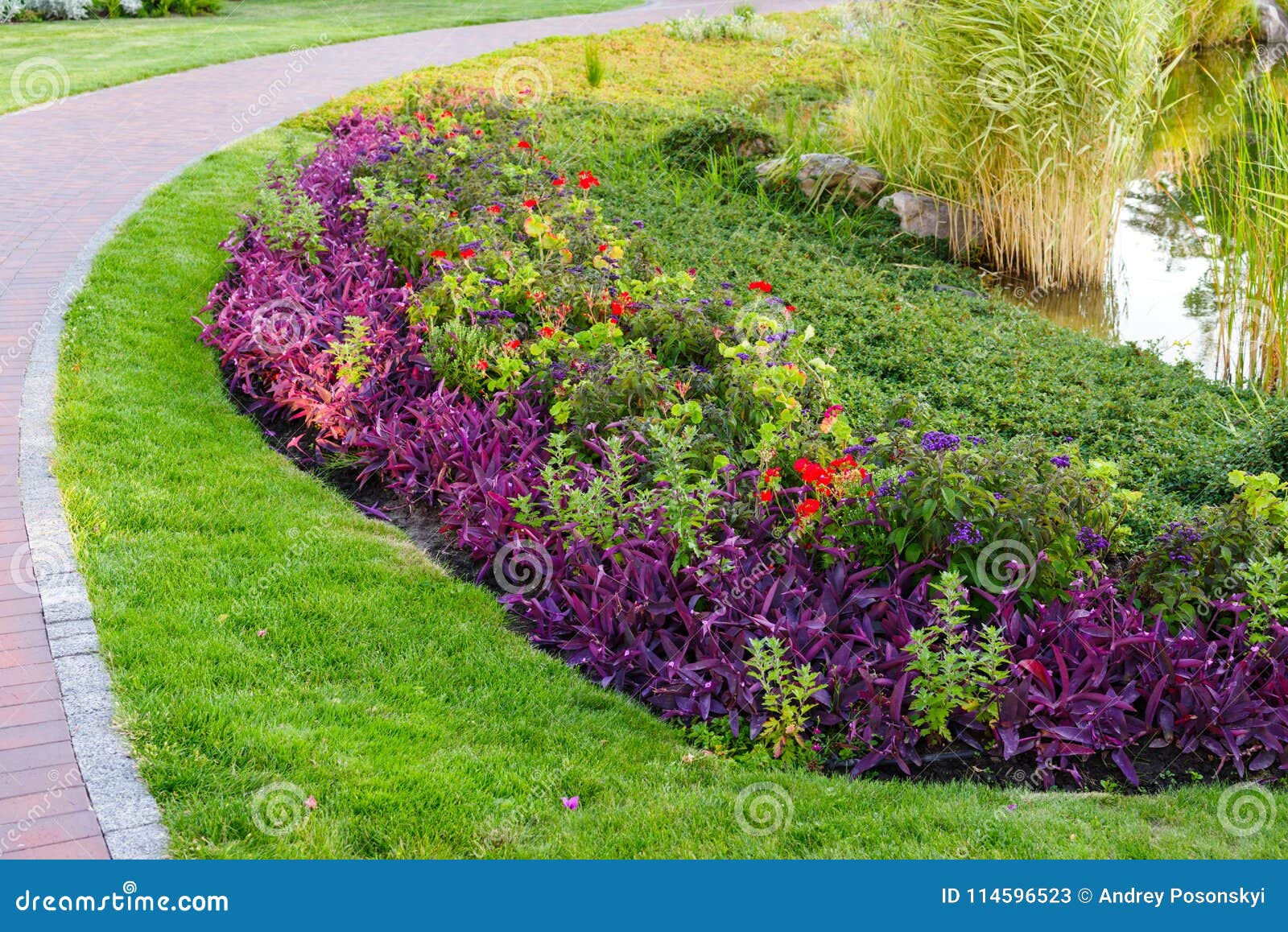 Flowers and Bushes in a Landscape Park Stock Image - Image of grass ...