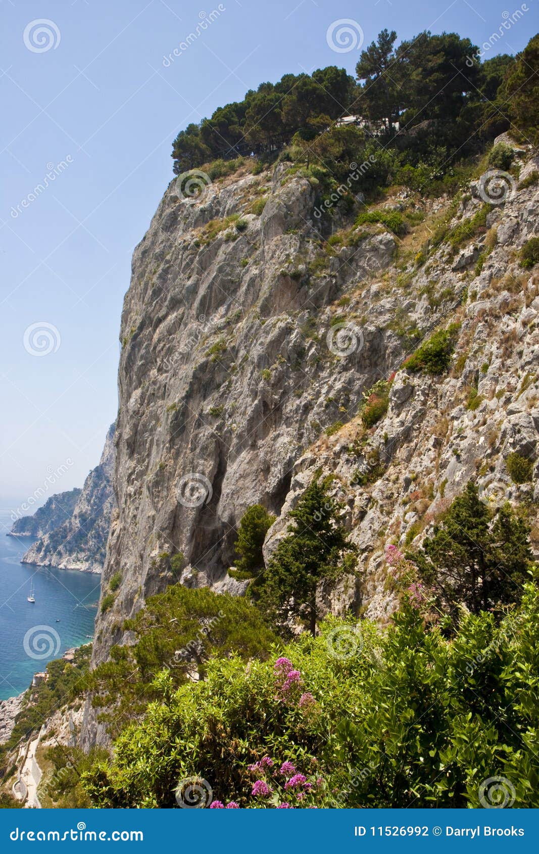 Flowers on Capri Cliffs stock photo. Image of naples - 11526992