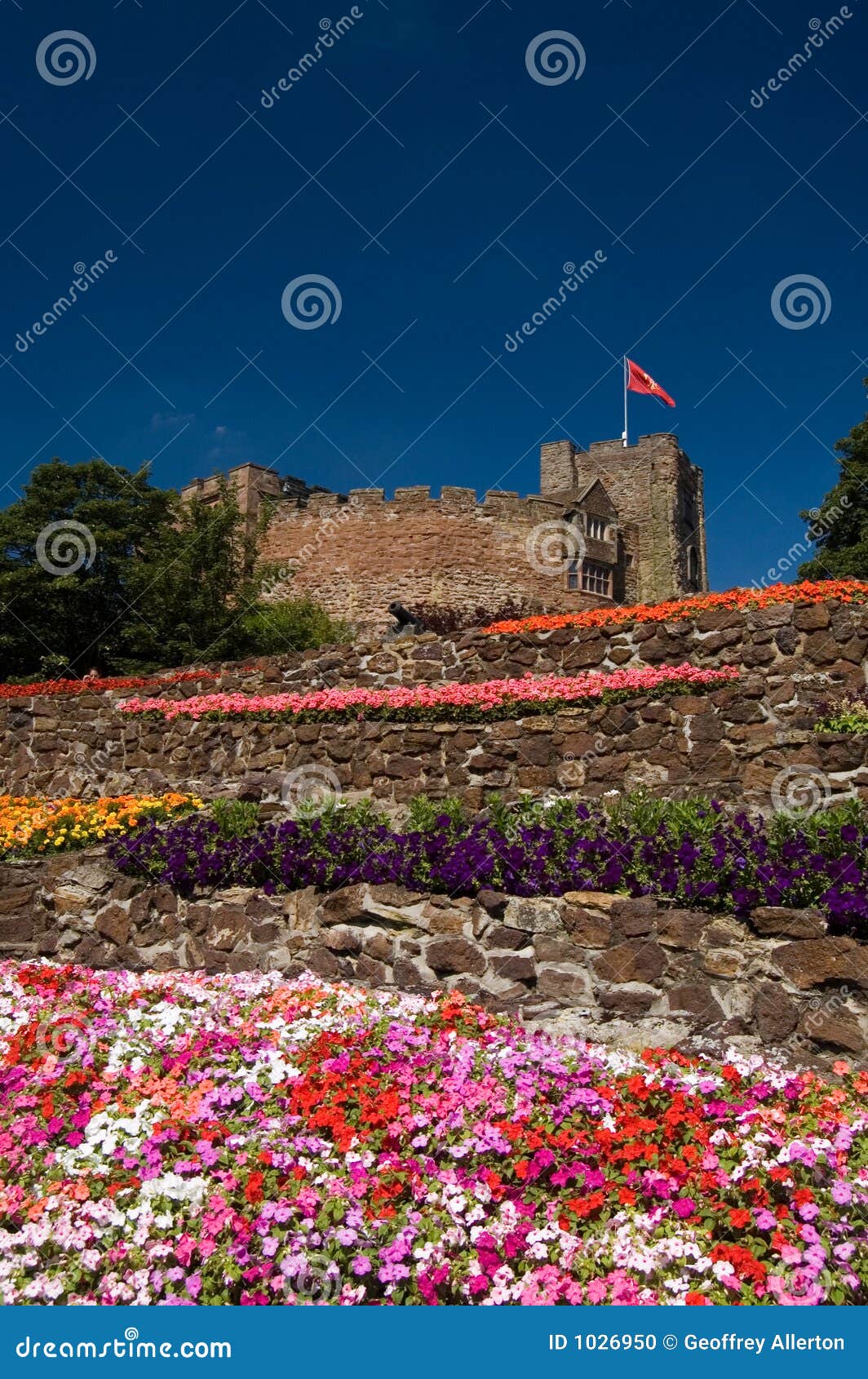 Flowers and the castle stock photo. Image of history, summer - 1026950