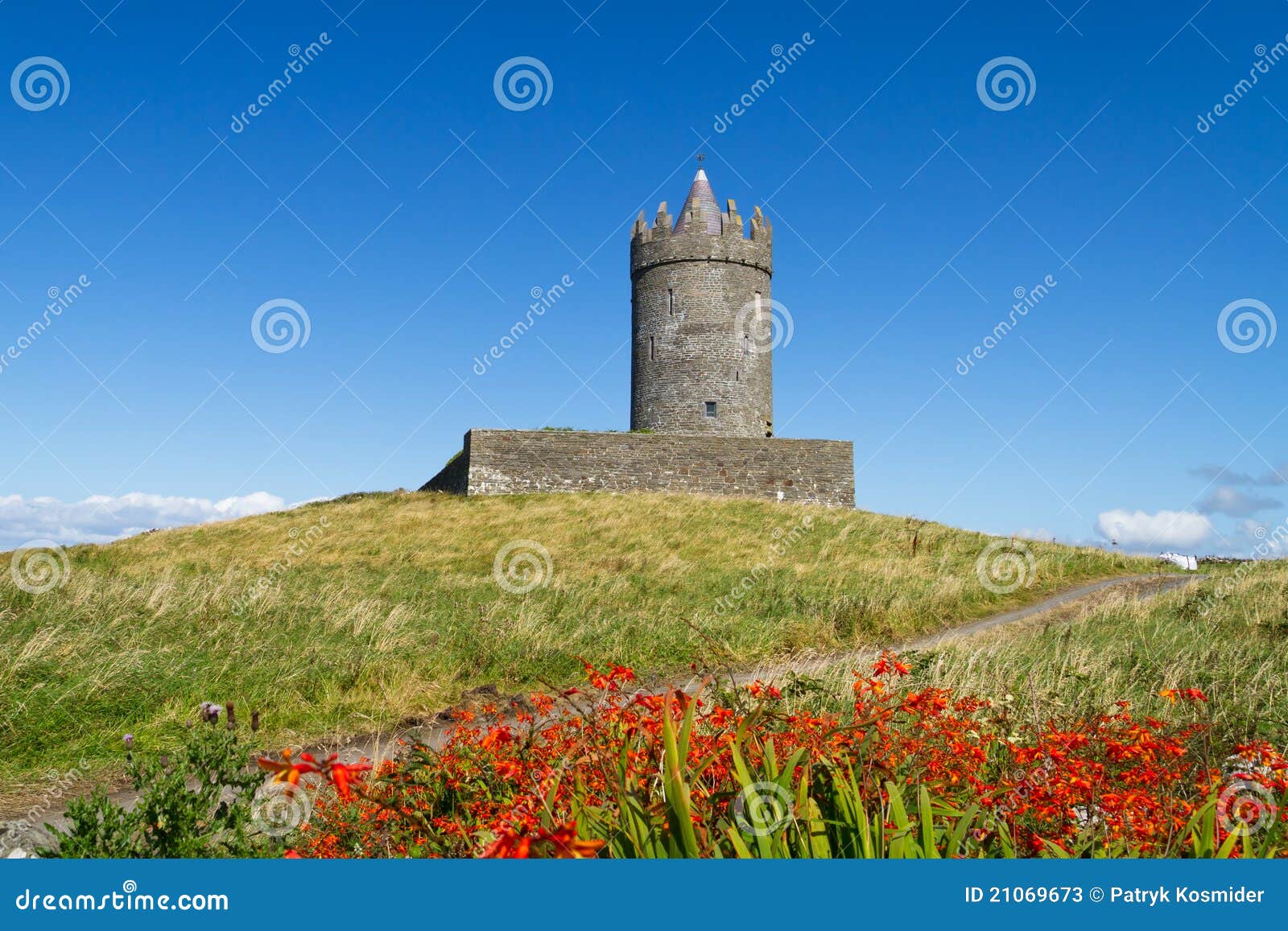 Flowers at the castle stock image. Image of historical - 21069673