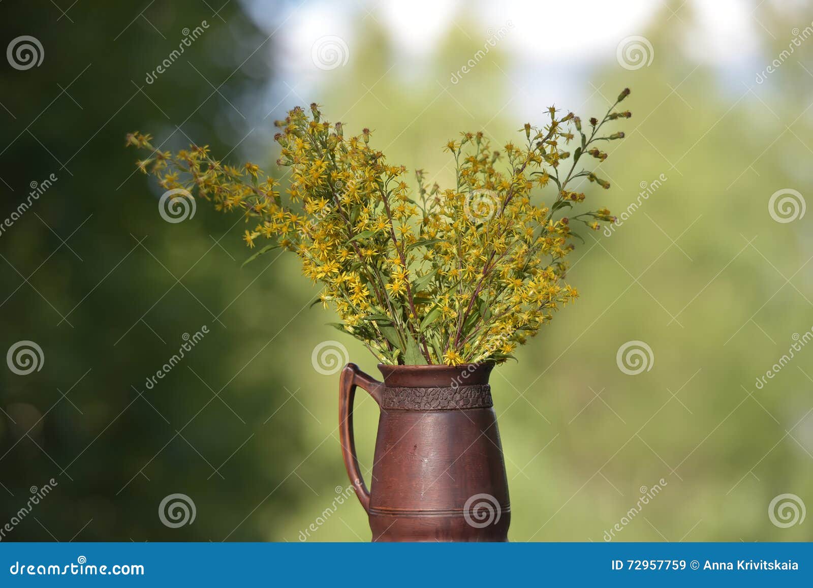 Flowers in a ceramic jug stock image. Image of flowers - 72957759