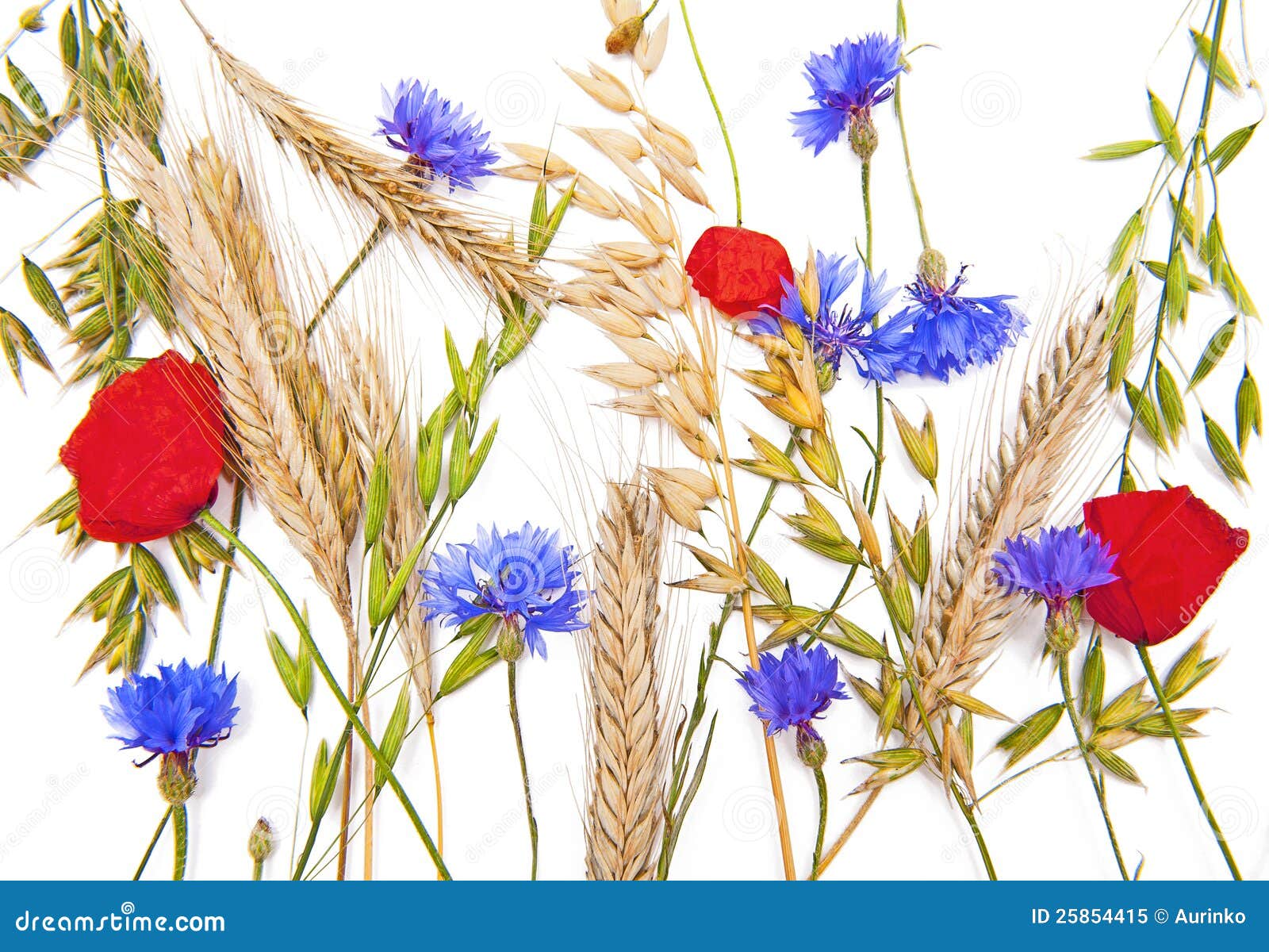 Flowers and cereals stock image. Image of colorful, decorative - 25854415