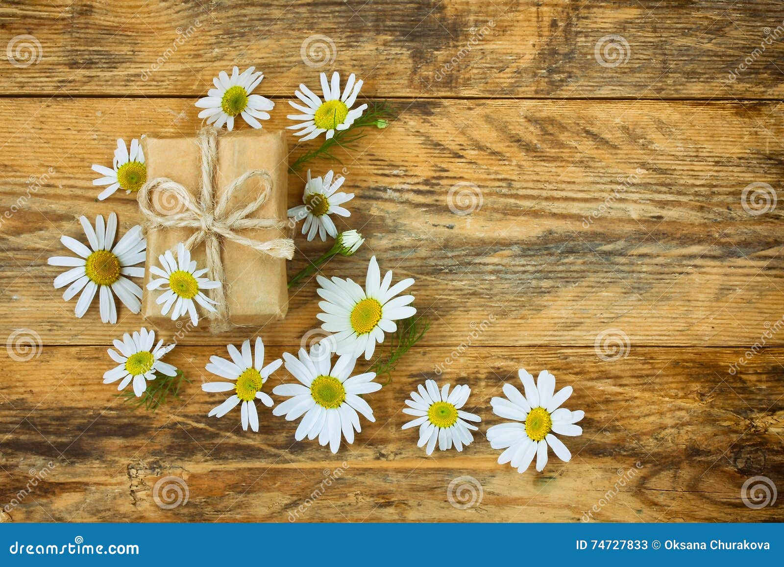 Flowers Chamomile and Gift Box Stock Image - Image of nature, plant ...