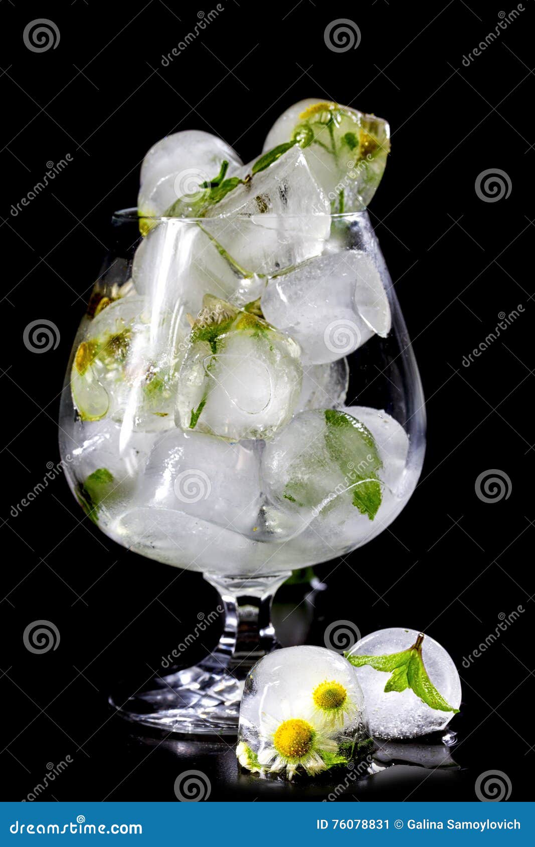 Flowers of Chamomile and Mint Leaves Frozen in Ice. Stock Image - Image ...