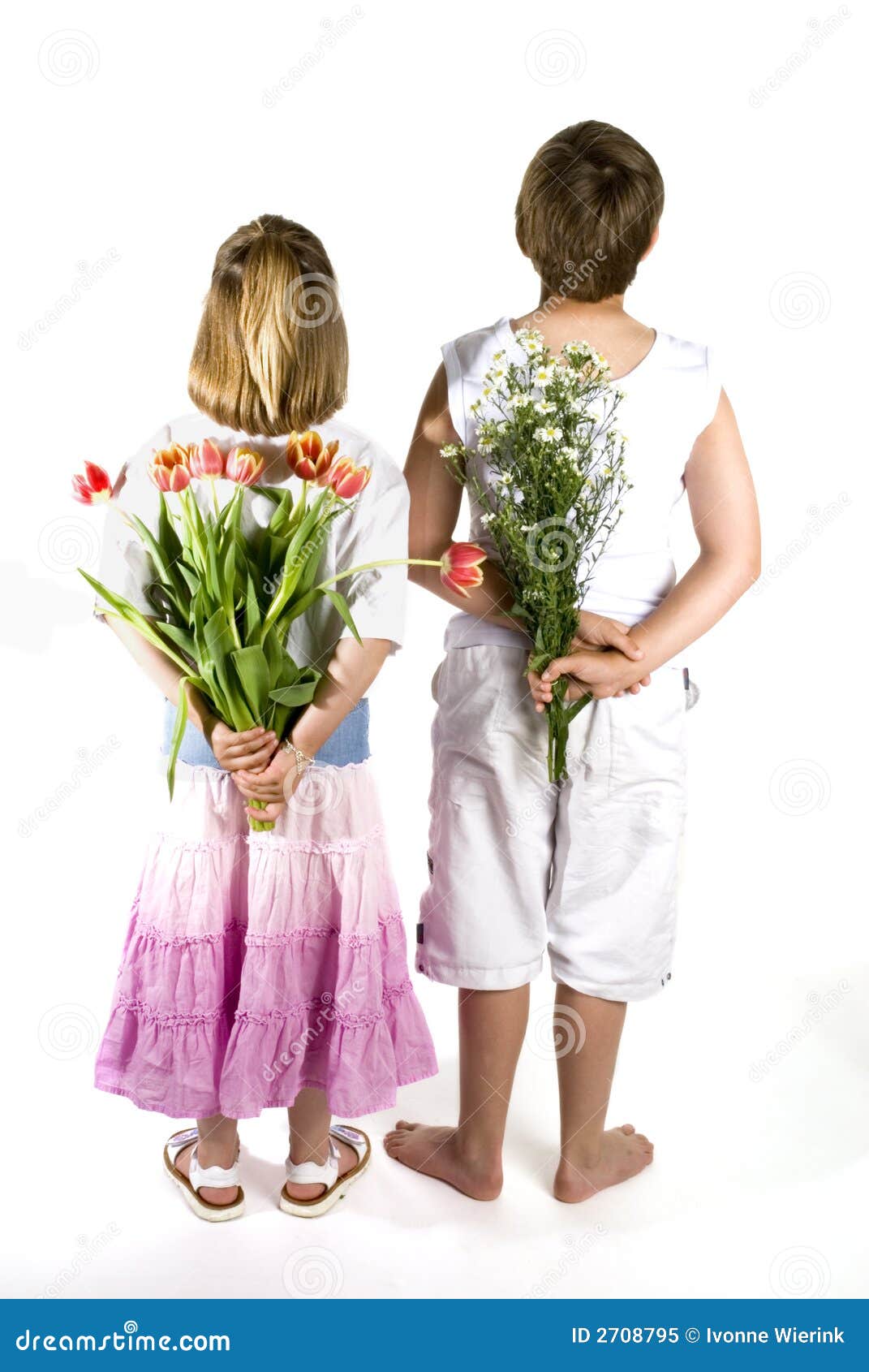 Flowers from the children stock image. Image of back, daysies - 2708795